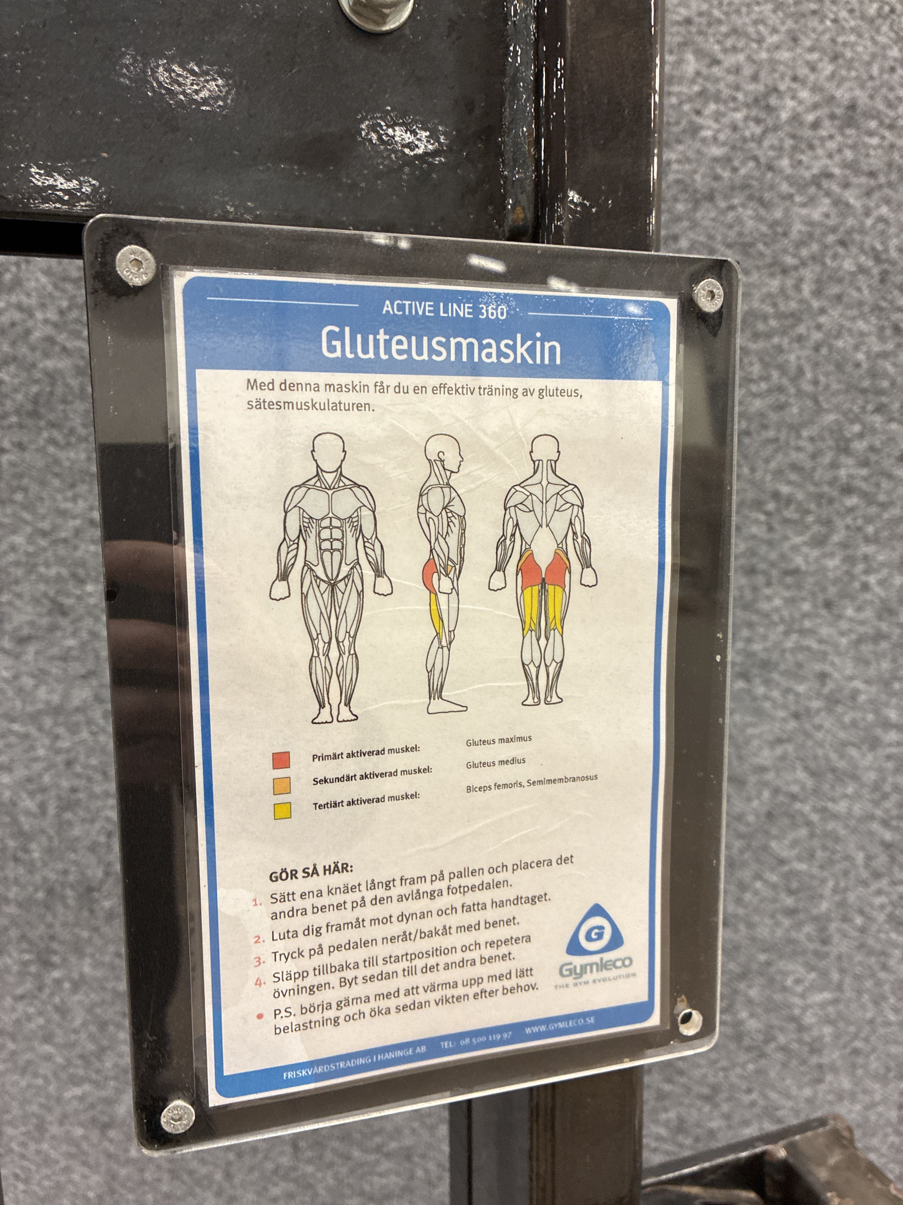 Gluteusmaskin Active Line 360, Gymleco - Auktioner online ...