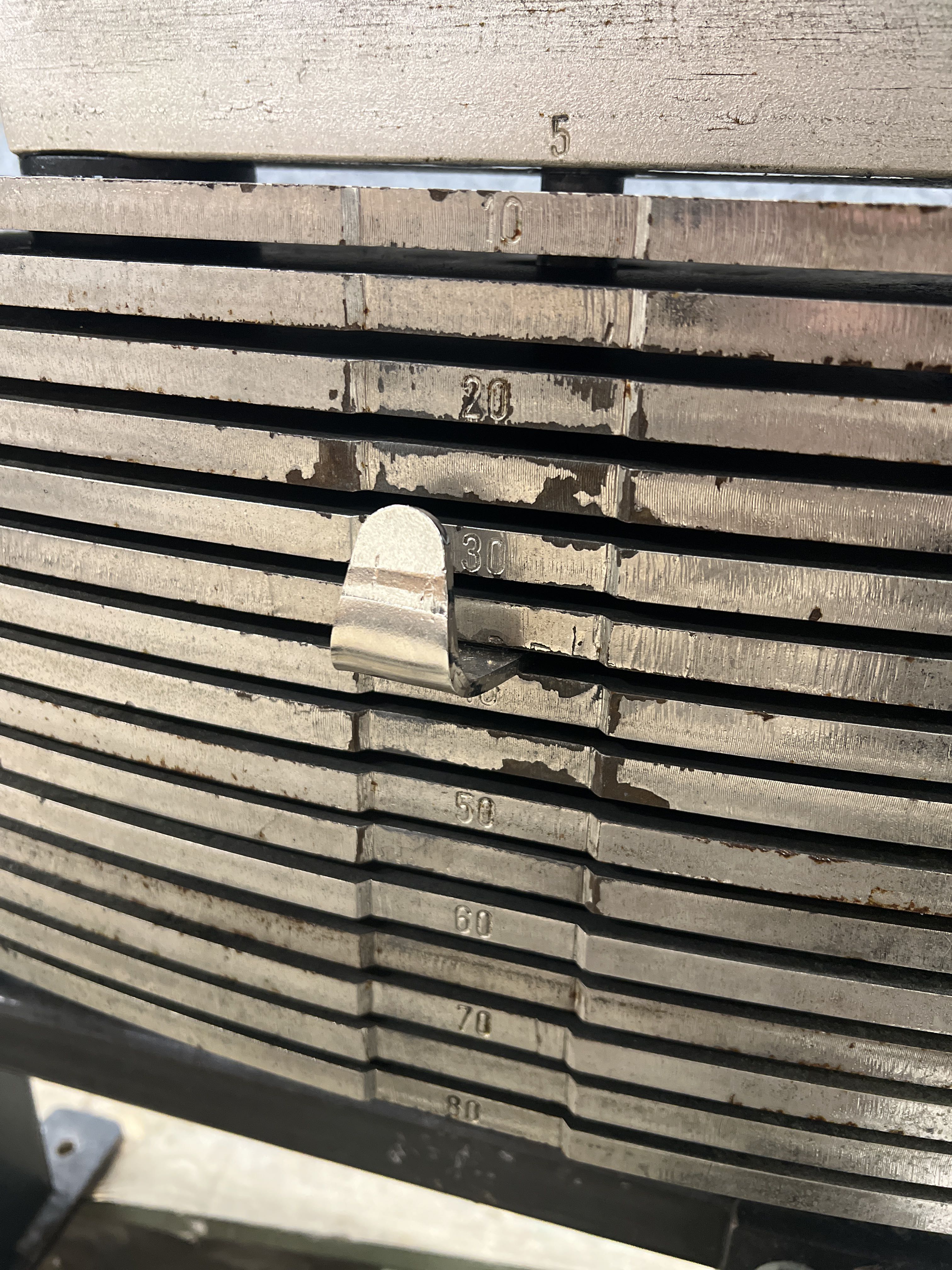 Liggande lårbiceps Active Line 342R, Gymleco - Auktioner online ...