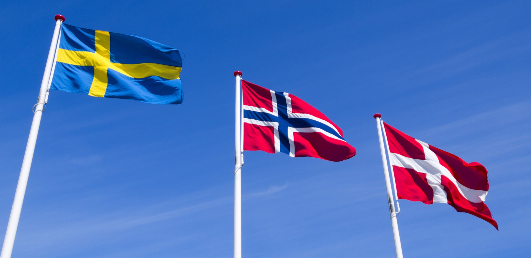 National flags "Nordic" 200-pack - PS Auction - We value the future ...