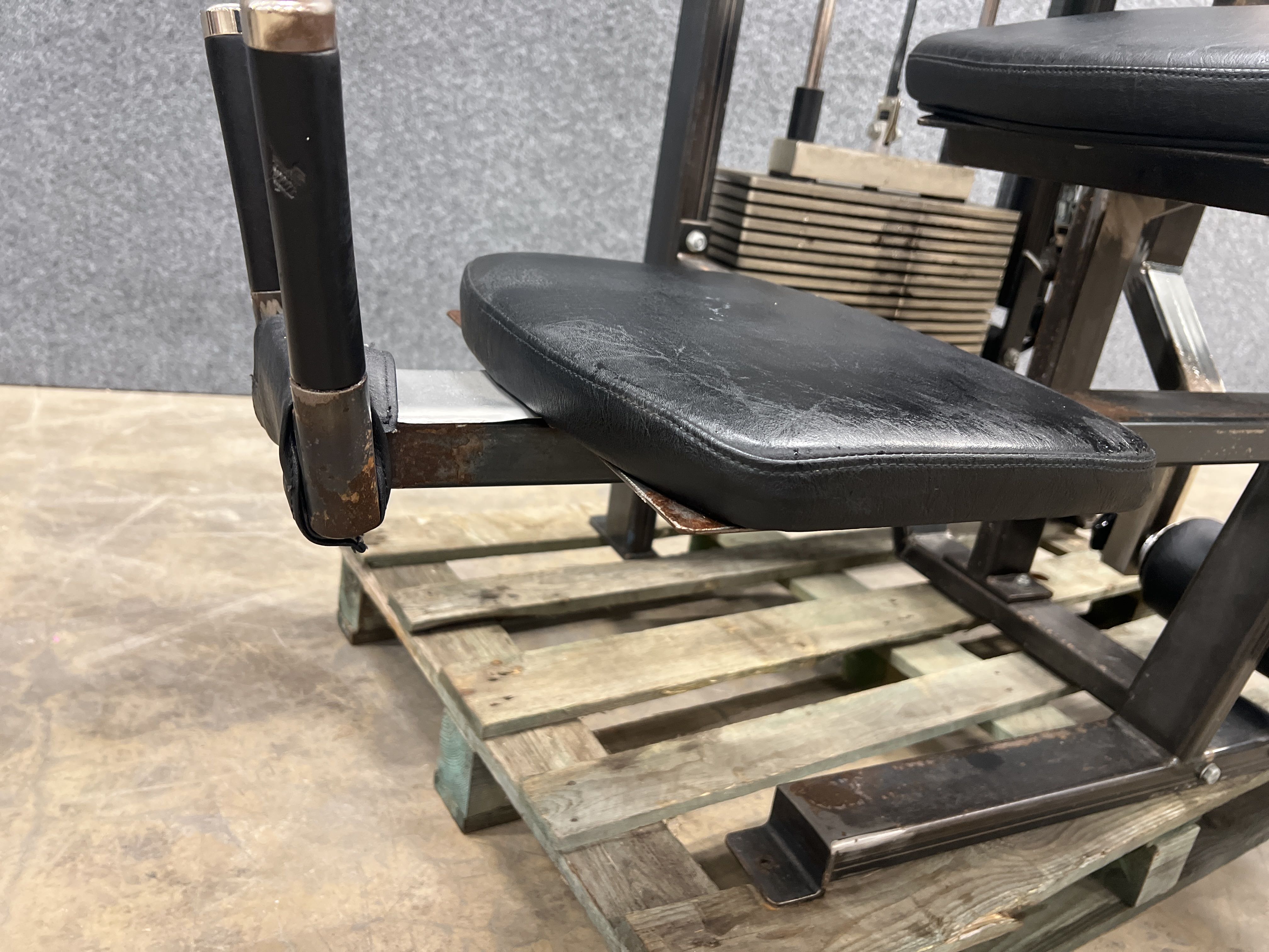 Liggande lårbiceps Active Line 342R, Gymleco - Auktioner online ...