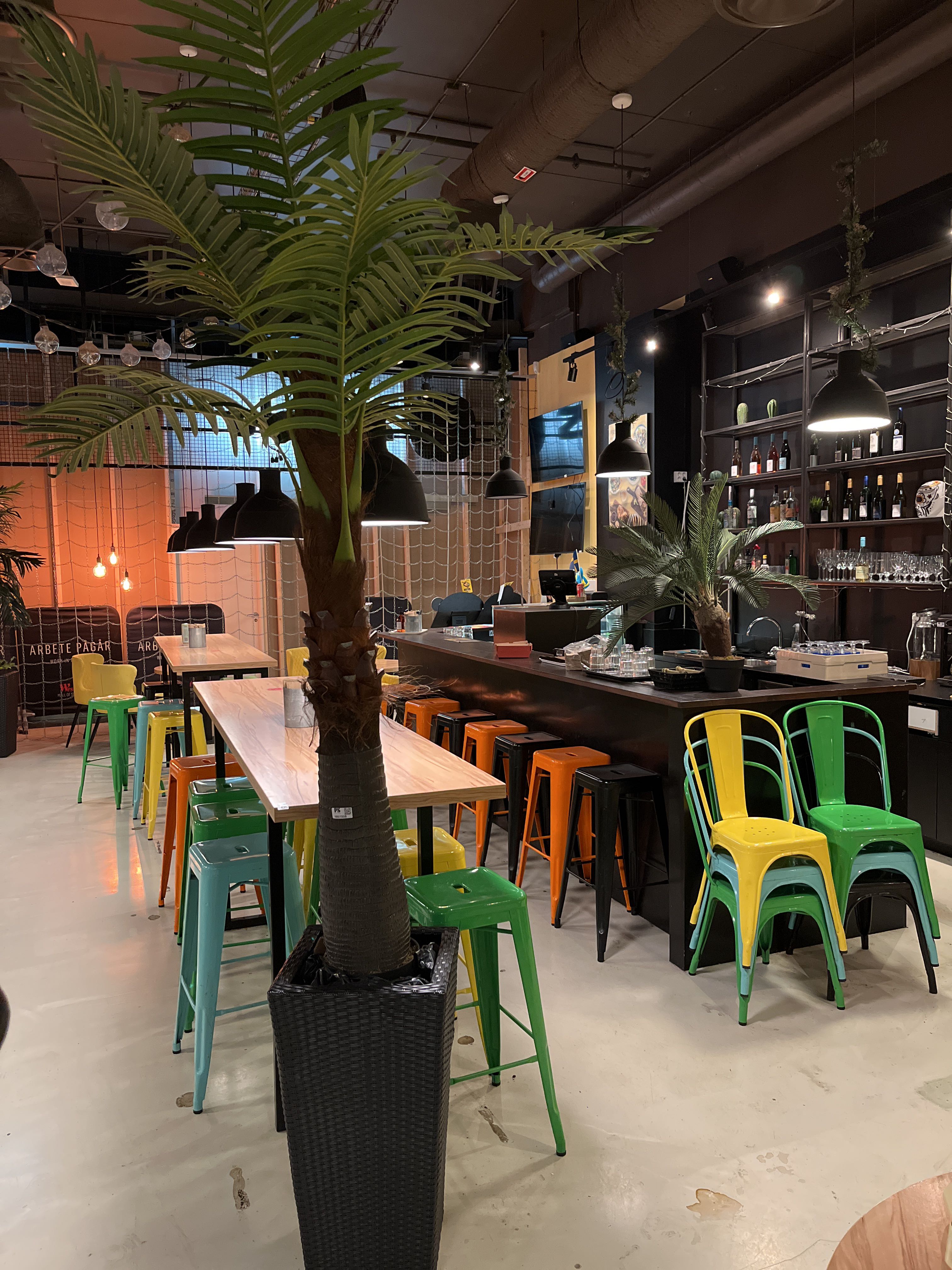 Plastväxter x6 enheter - Auktioner online - Nätauktioner ...