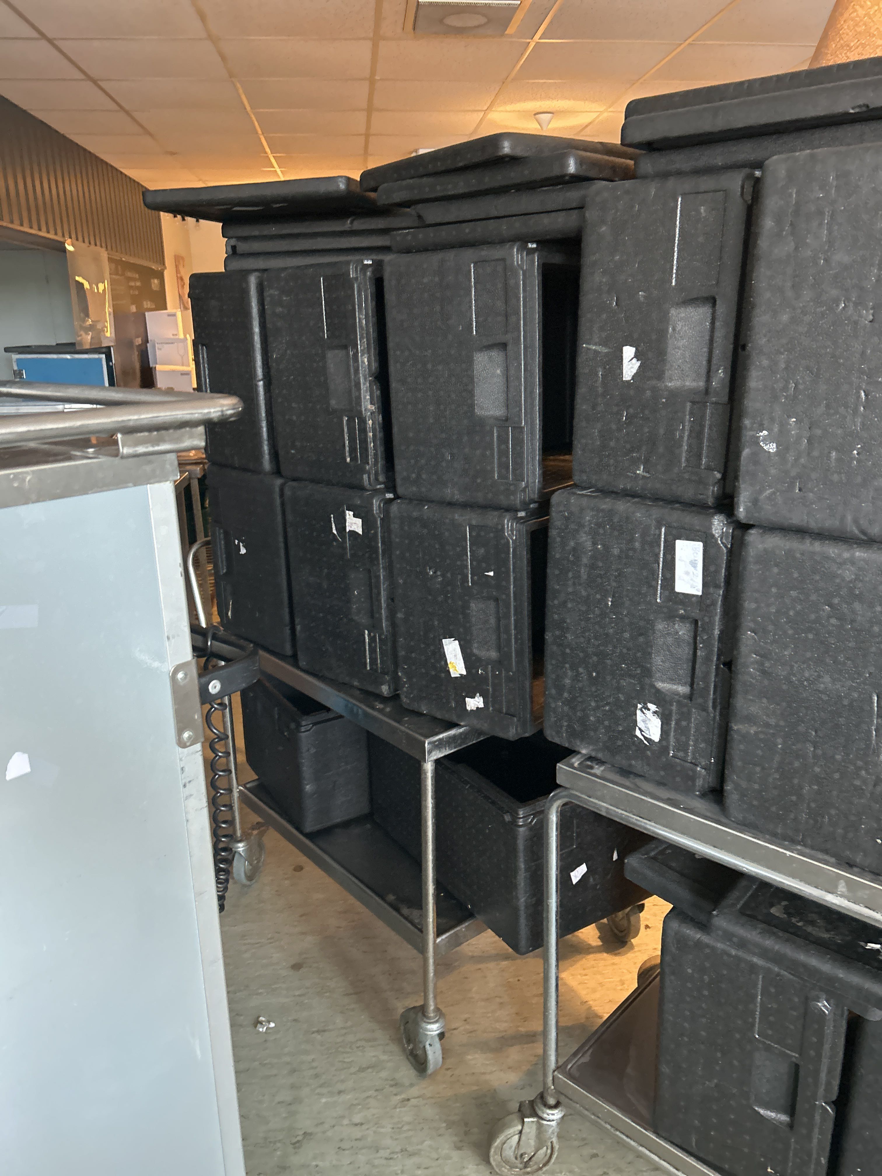 Styrofoam boxes for catering - PS Auction - We value the future ...