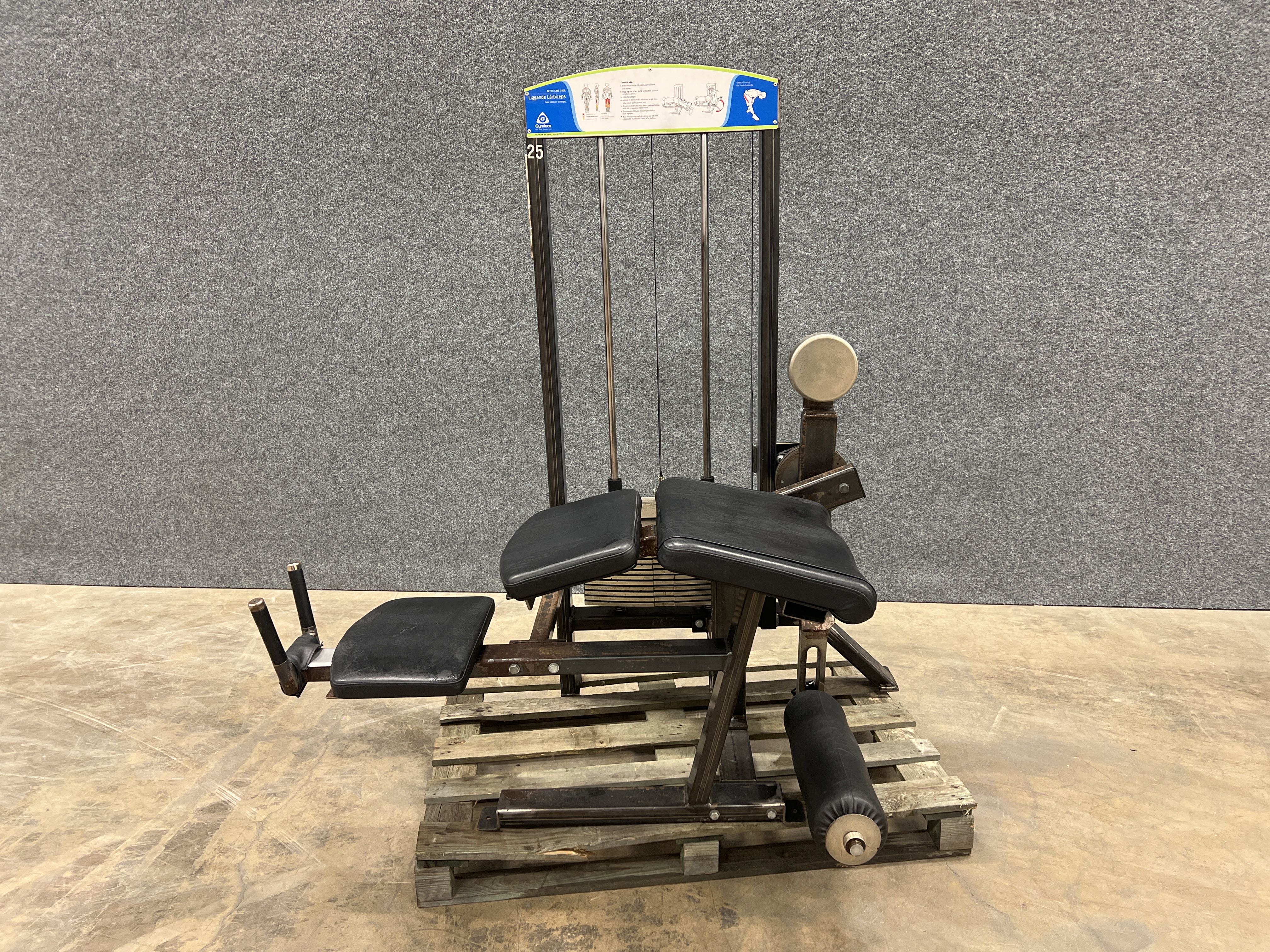 Liggande lårbiceps Active Line 342R, Gymleco - Auktioner online ...