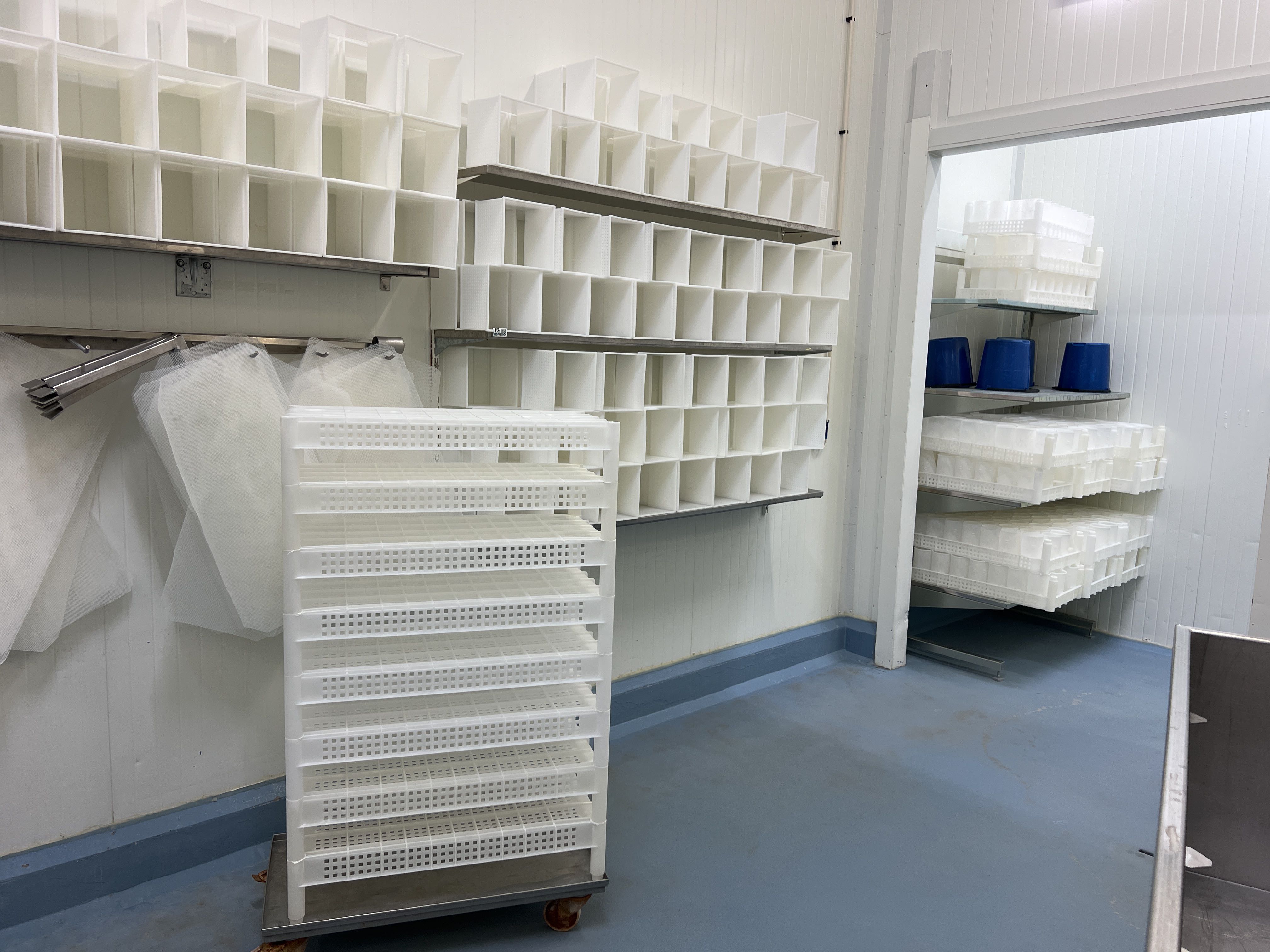 Cheese molds cylinder and cubes - PS Auction - We value the future ...
