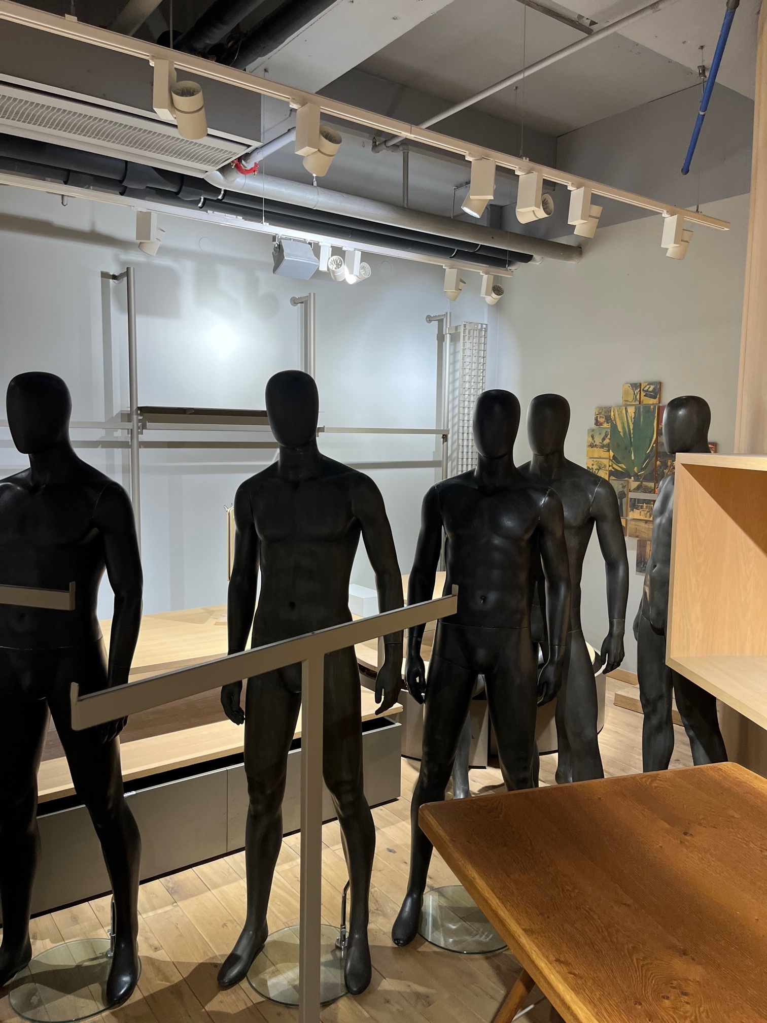 Mannequins male/female full body/torso approx. 65 pcs - PS Auction - We ...