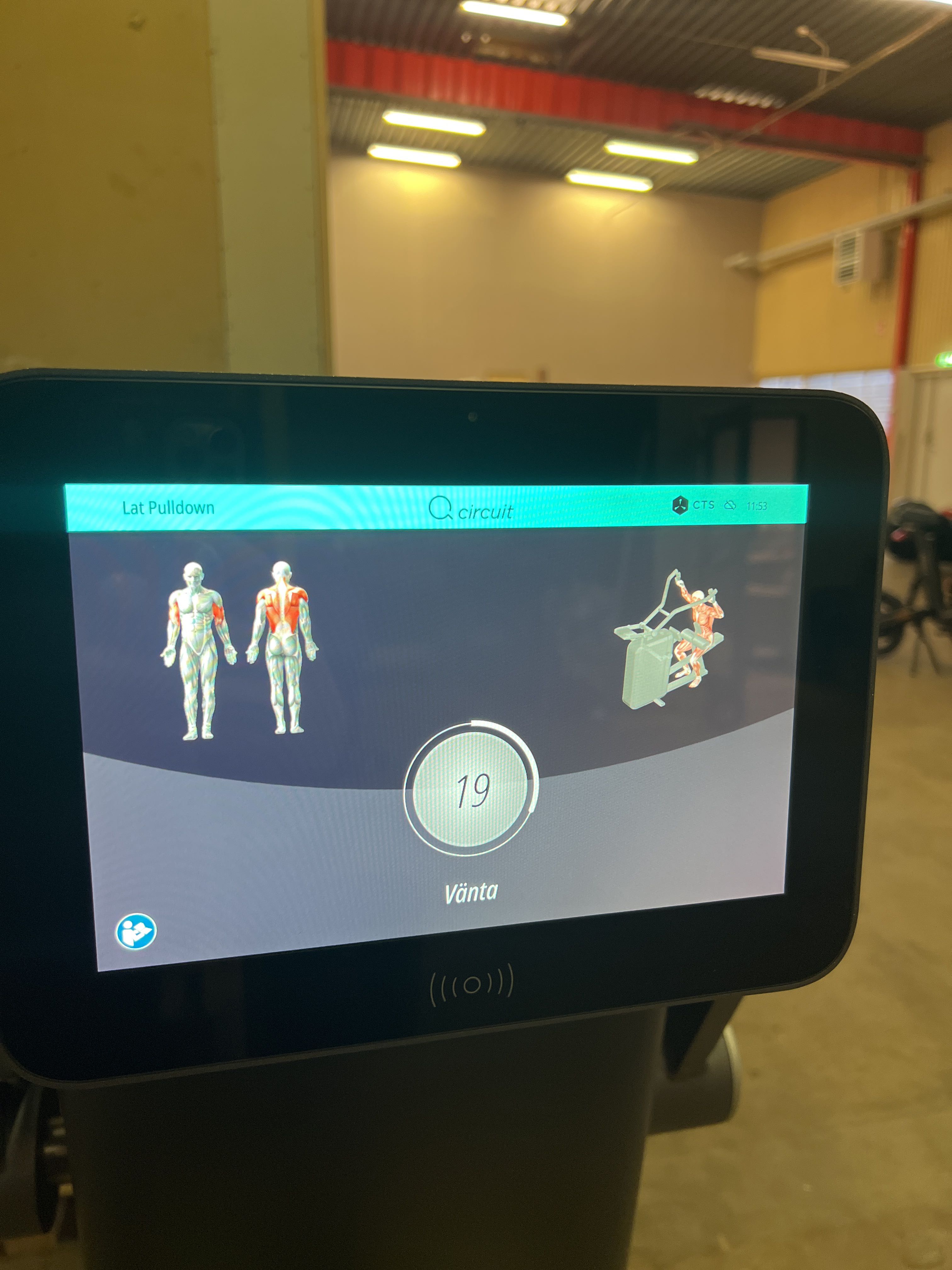 Training machine Milon Lat Pulldown - PS Auction - We value the future ...