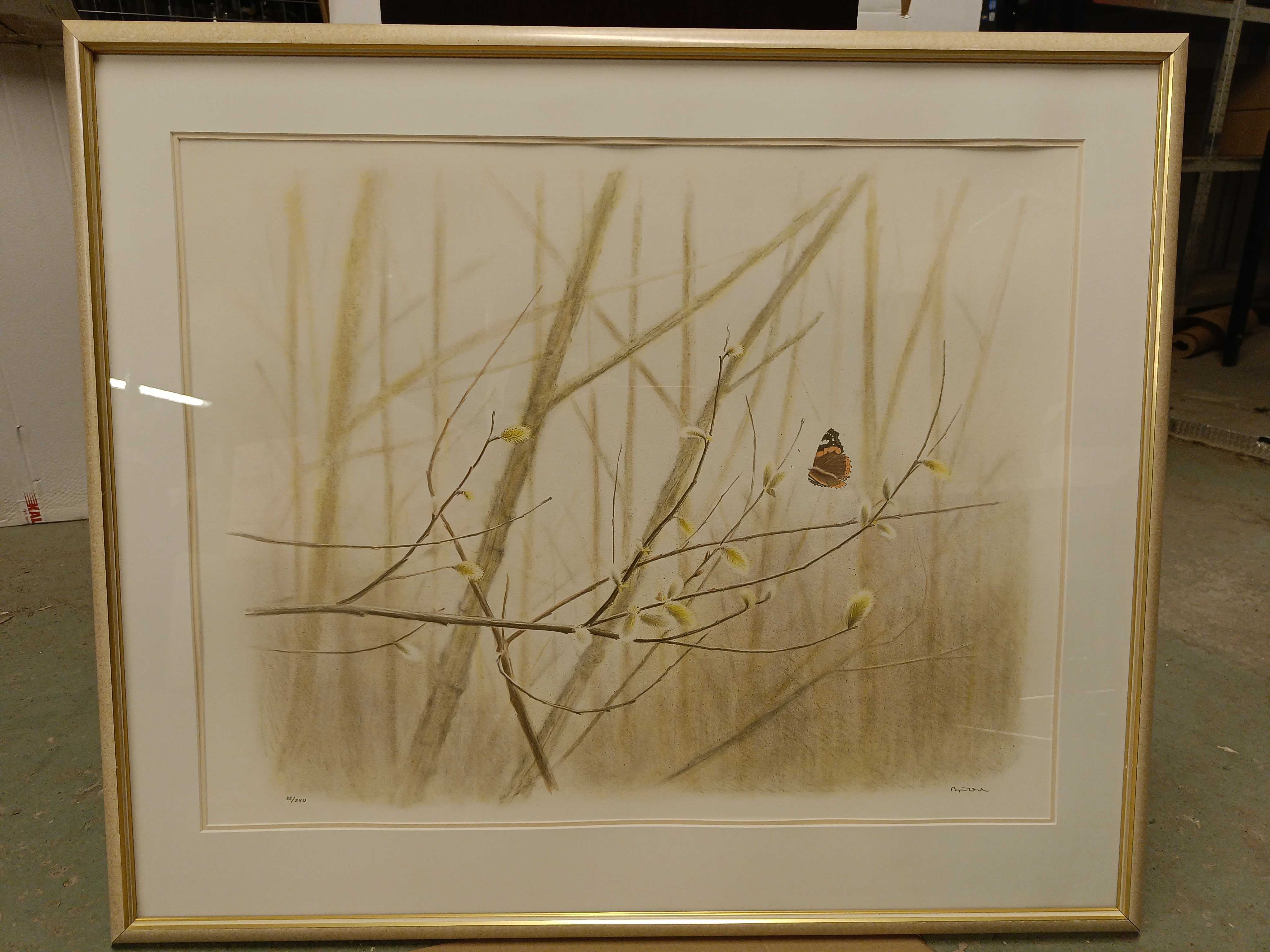 Björn Dal Color lithograph butterfly, signed, numbered 88/240 - PS ...