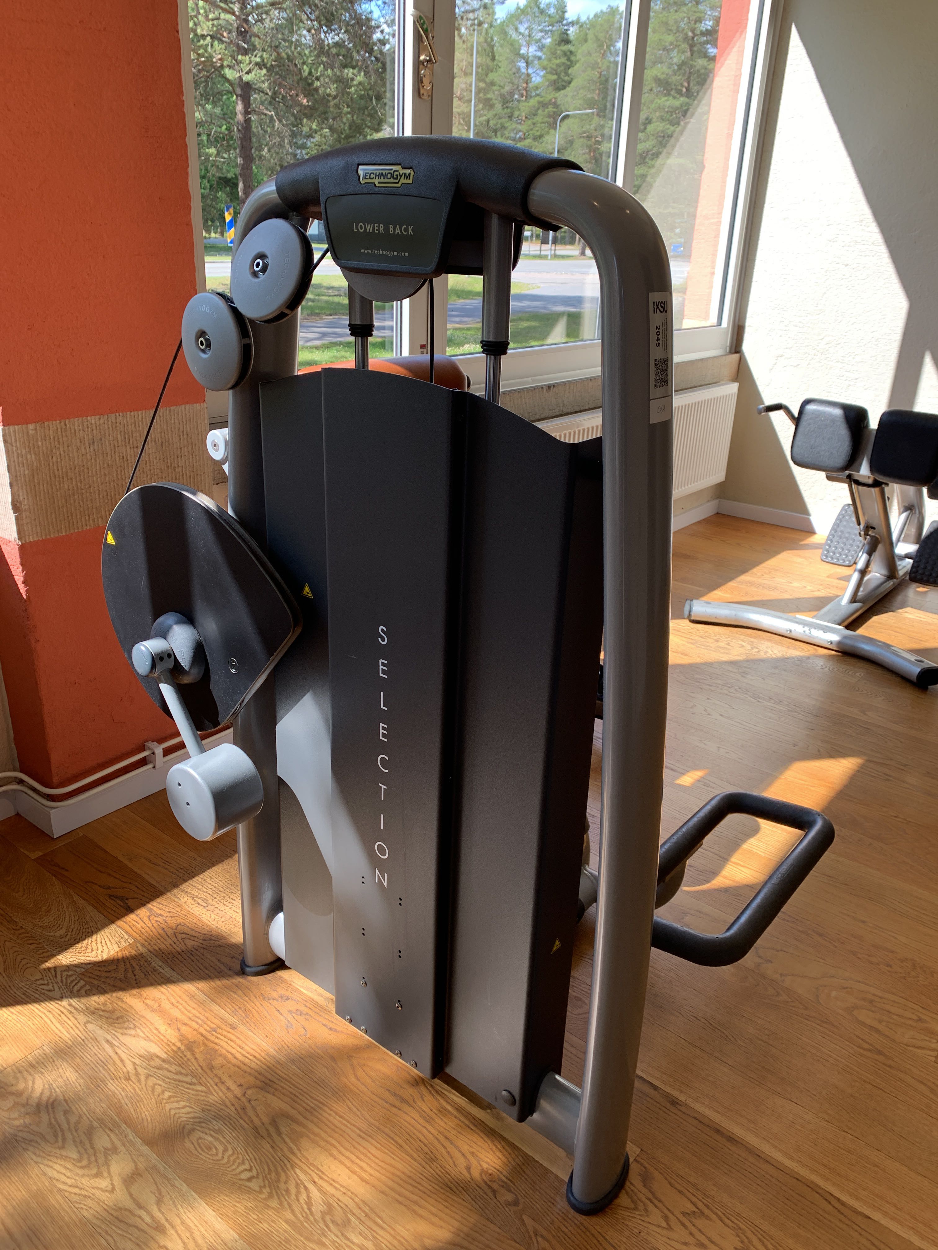 Gym machine TechnoGym Lower Back - PS Auction - We value the future ...