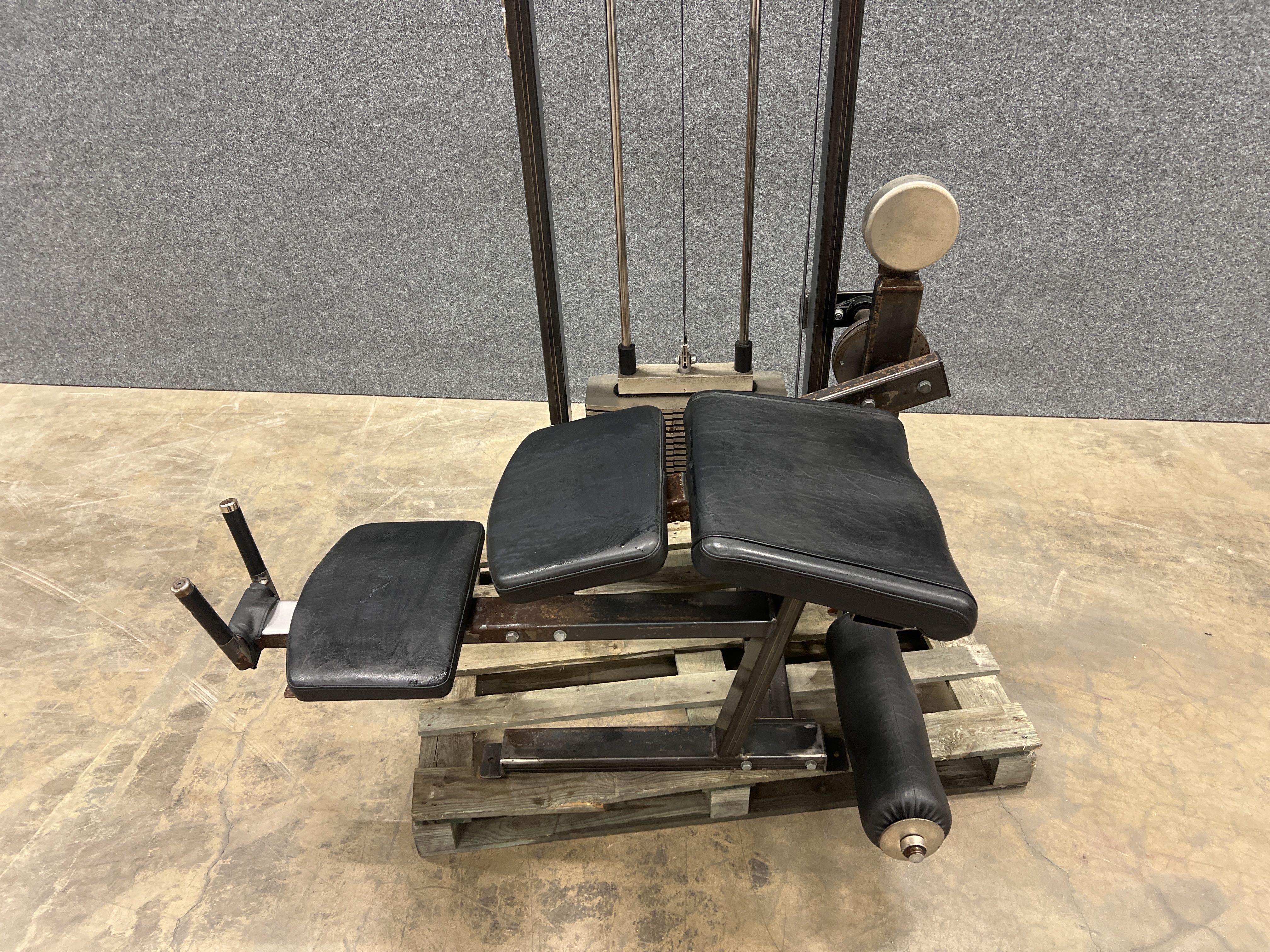 Liggande lårbiceps Active Line 342R, Gymleco - Auktioner online ...