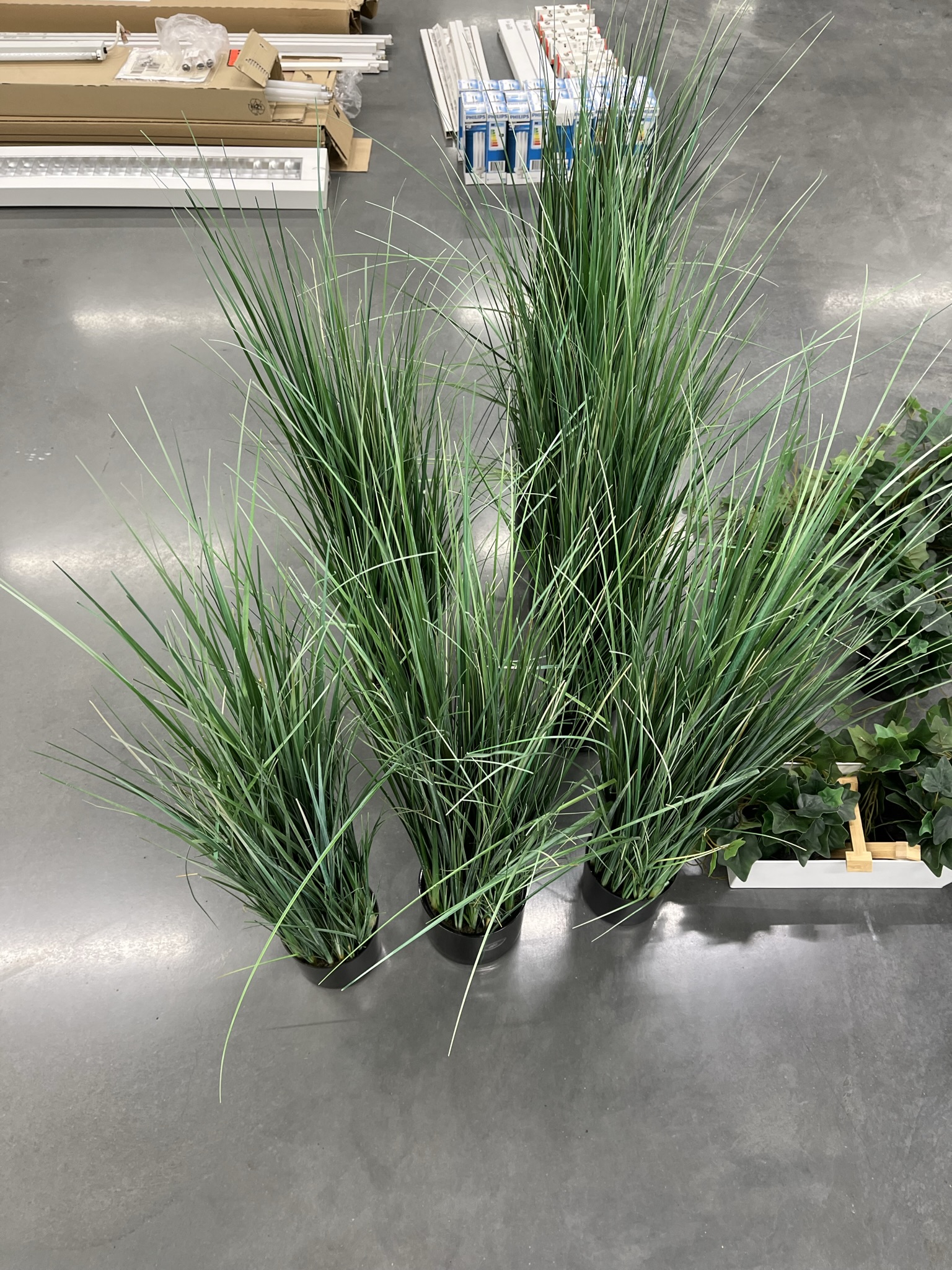 Plastic plants - PS Auction - We value the future - Largest in net auctions