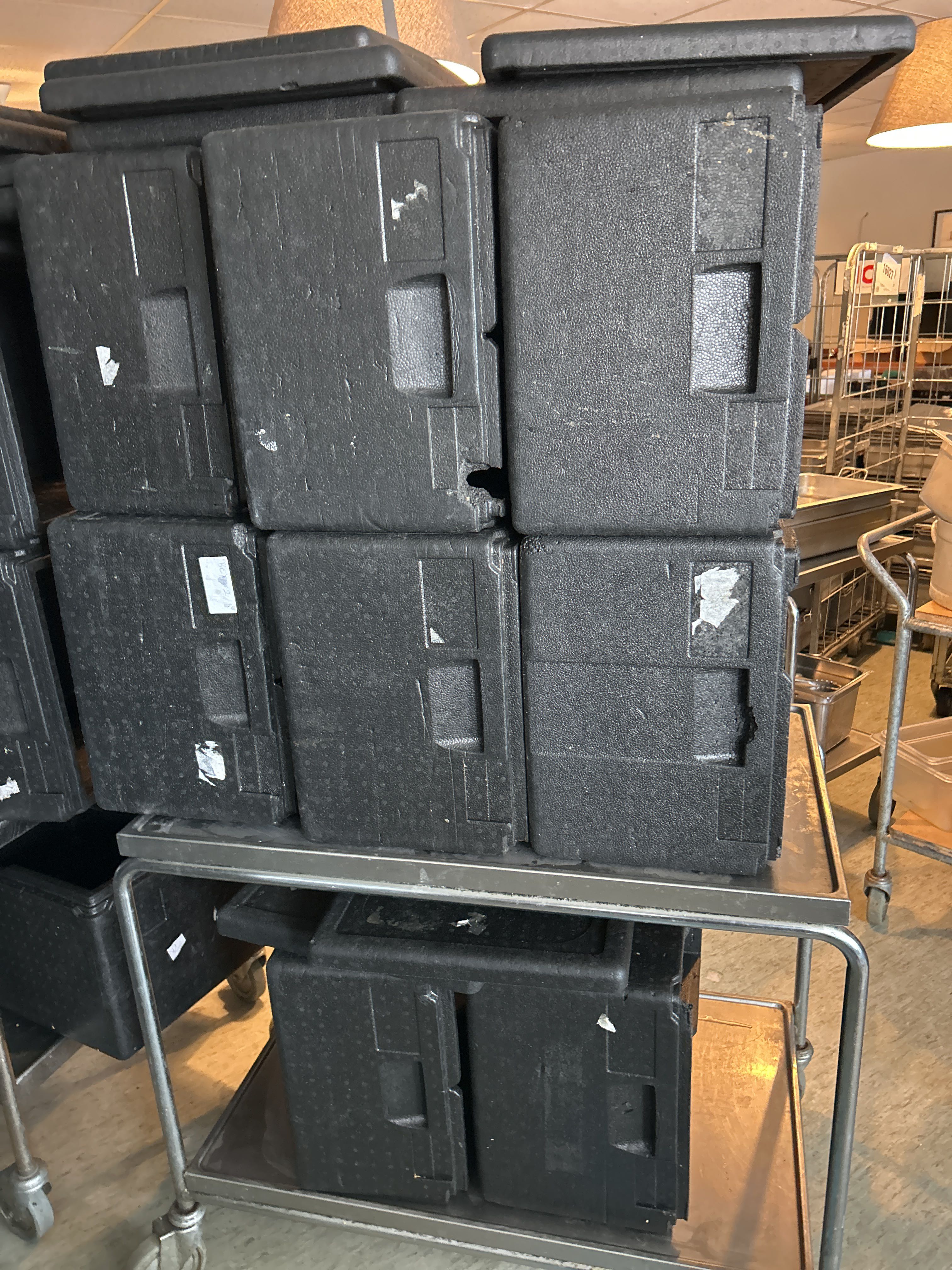 Styrofoam boxes for catering - PS Auction - We value the future ...