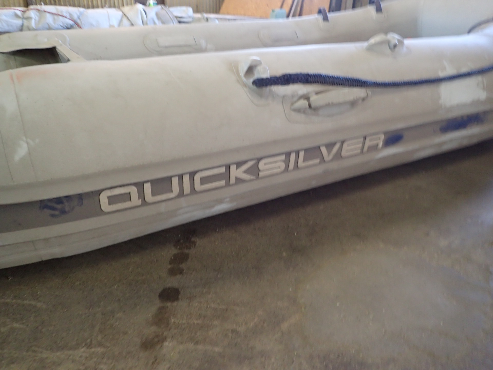 QUICKSILVER Inflatable - PS Auction - We value the future - Largest in ...