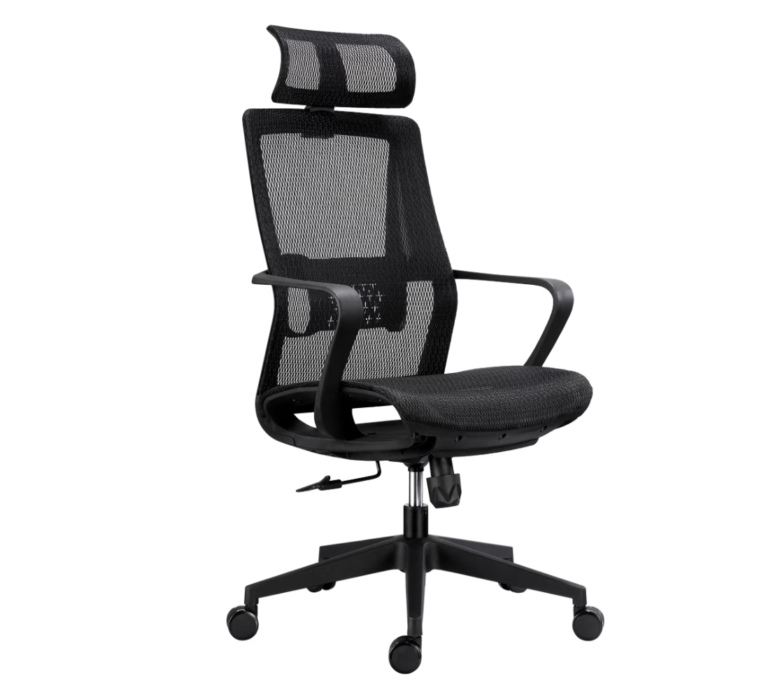 Office chair - Zen Office, ergonomic, adjustable lumbar support ...