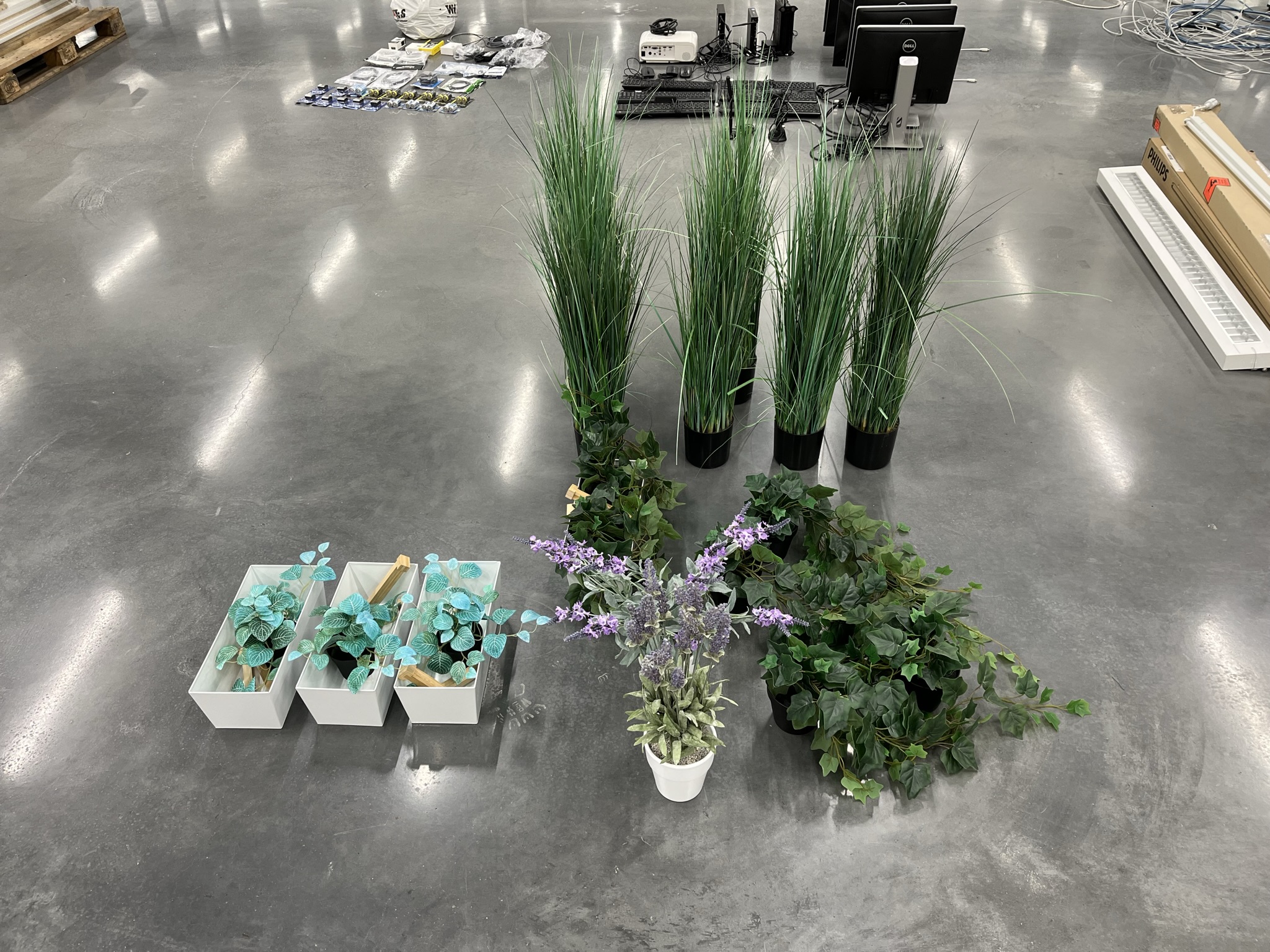 Plastic plants - PS Auction - We value the future - Largest in net auctions