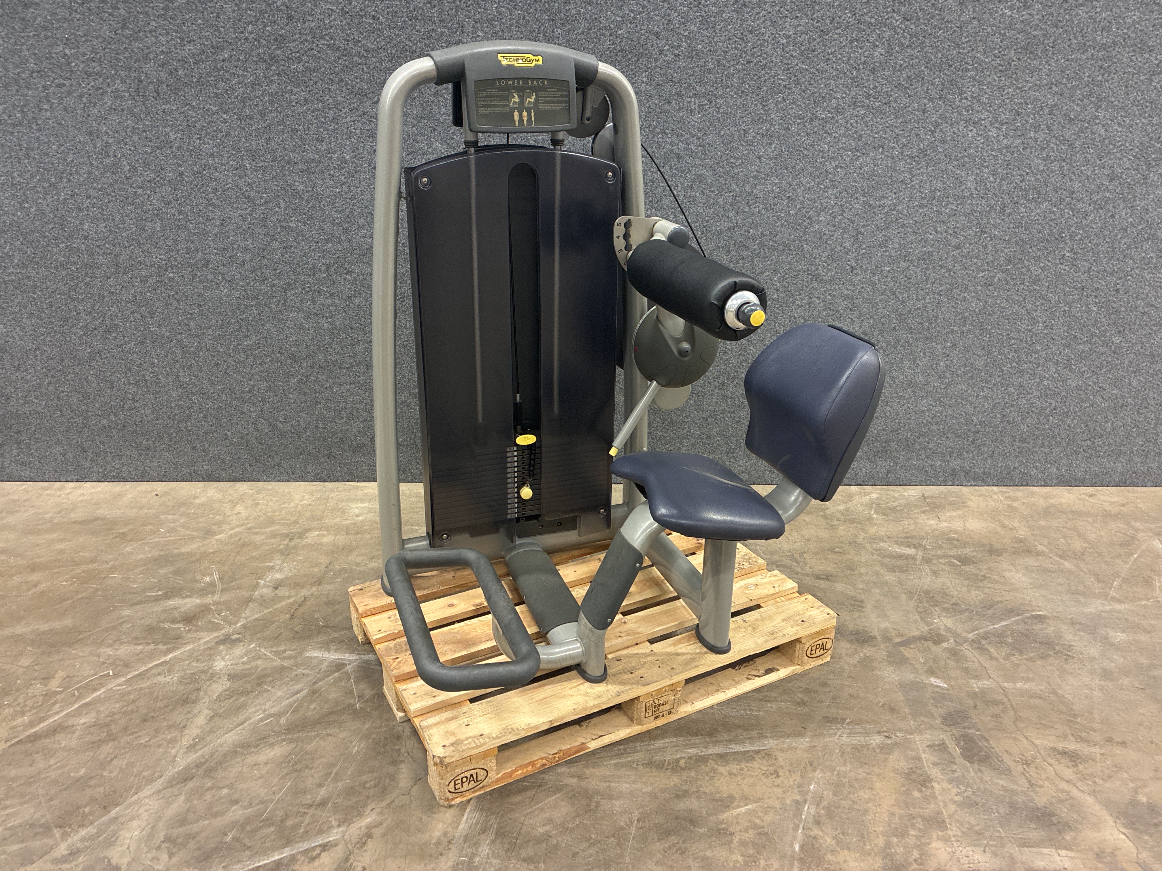 Lower back machine / Lower back, Technogym - PS Auction - We value the ...