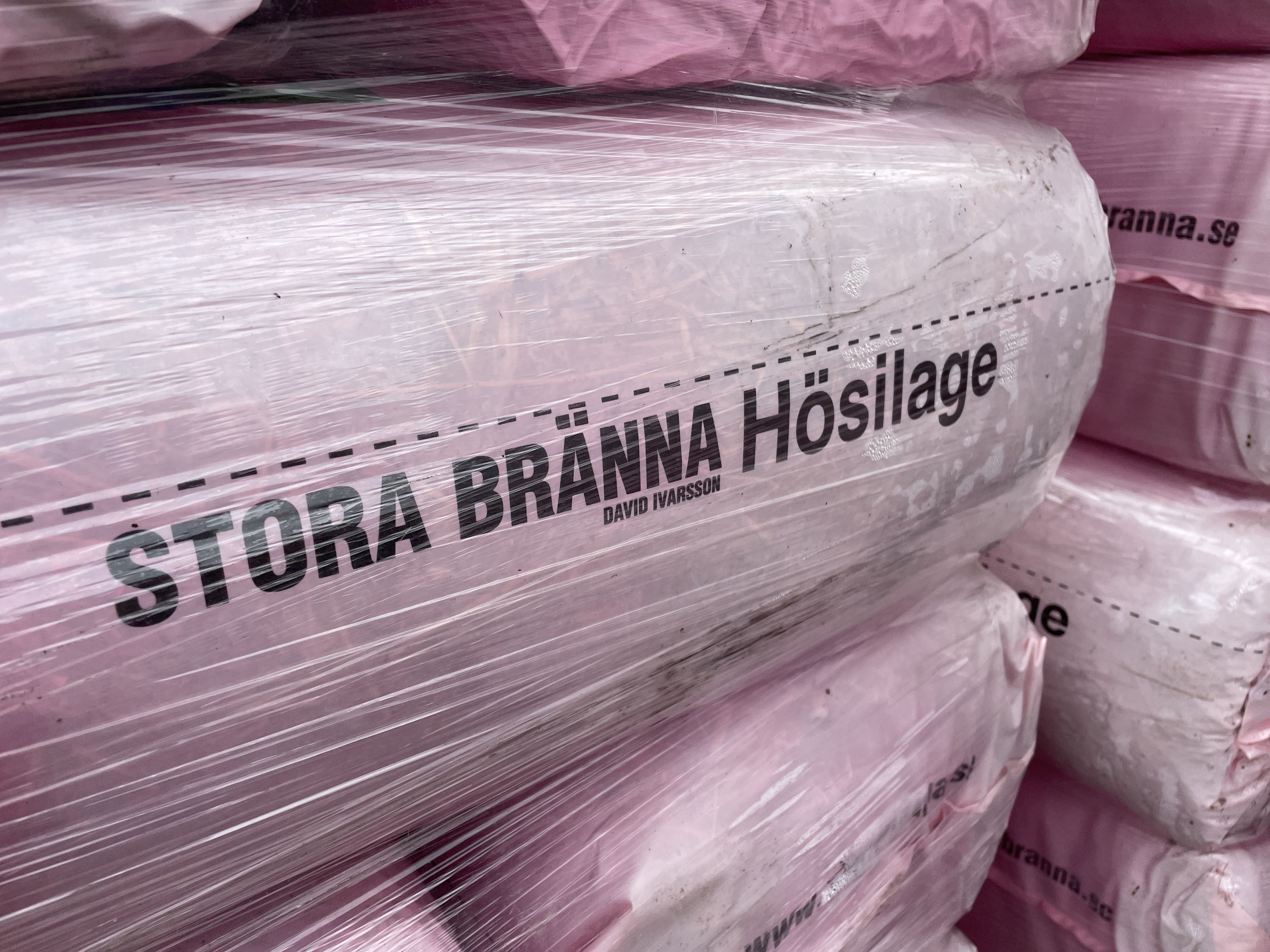 Special hay silage 140 plasticized 25kg bales - PS Auction - We value ...