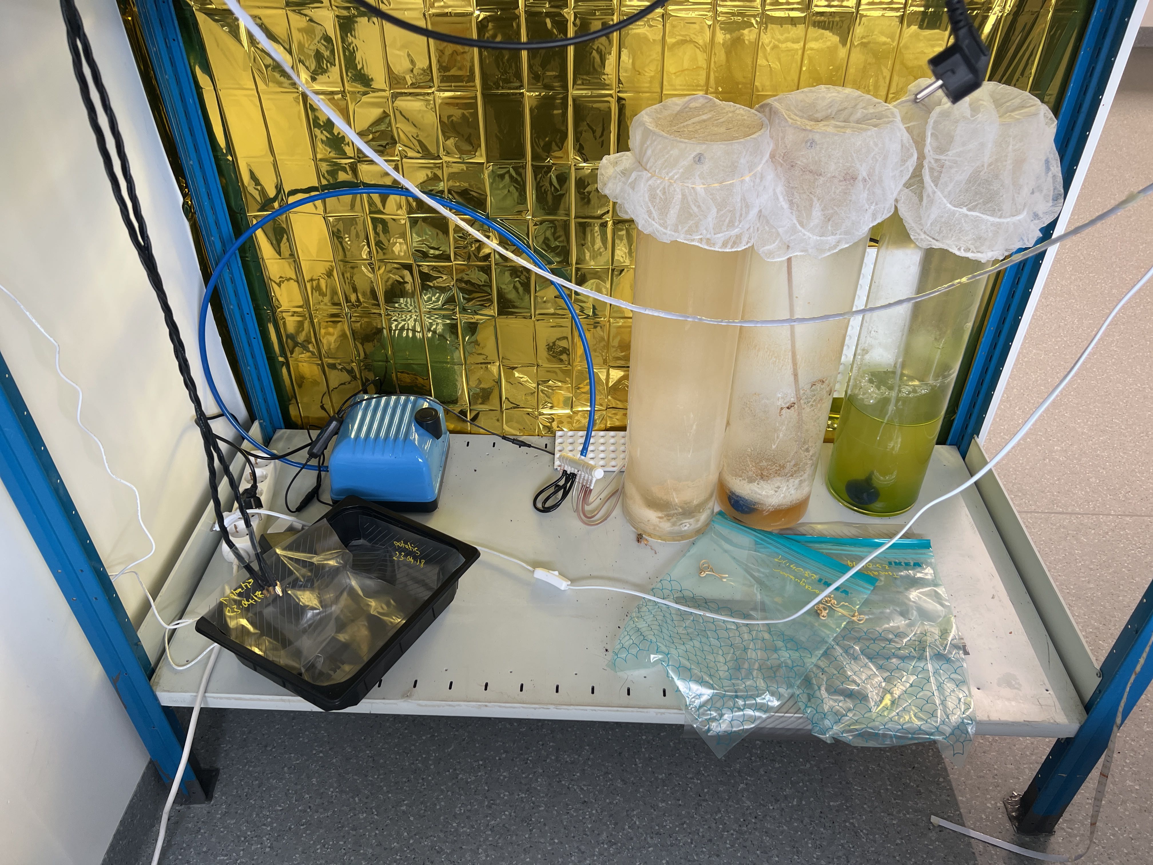 Desk, growing trough and accessories - PS Auction - We value the future ...