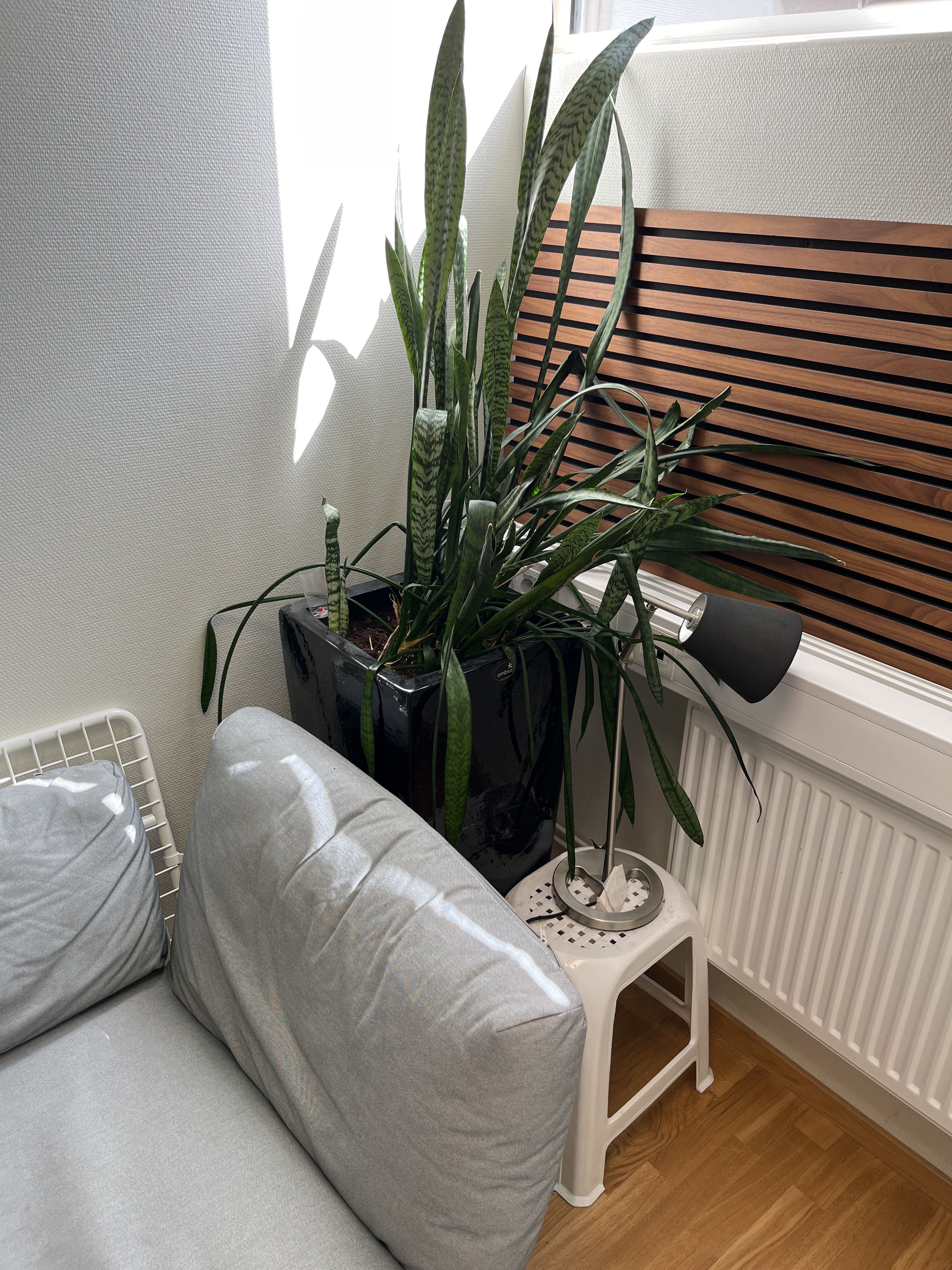 Möbler i vilorum - Auktioner online - Nätauktioner & Konkursauktioner ...