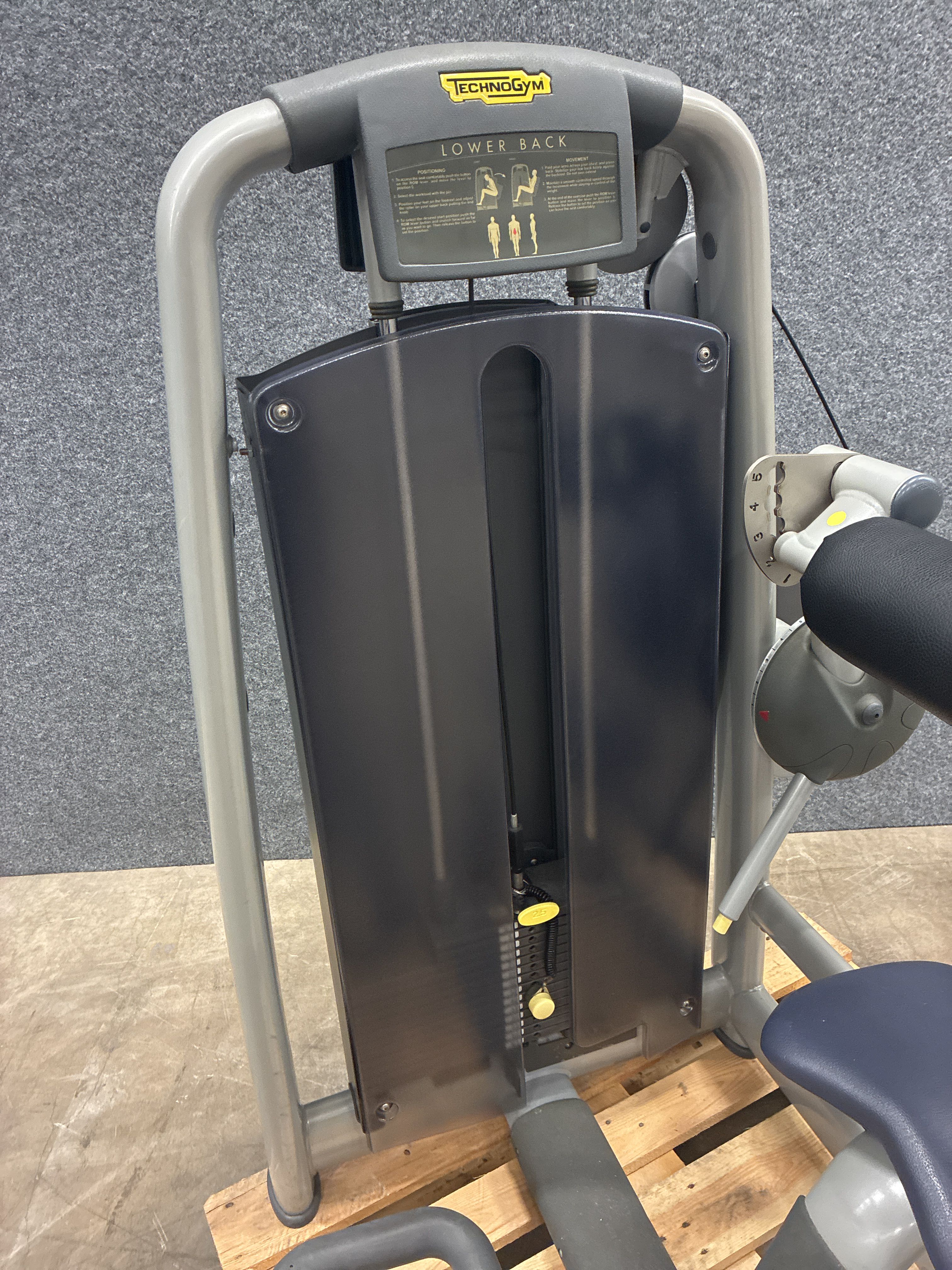 Ländryggsmaskin / Lower back, Technogym - Auktioner online ...