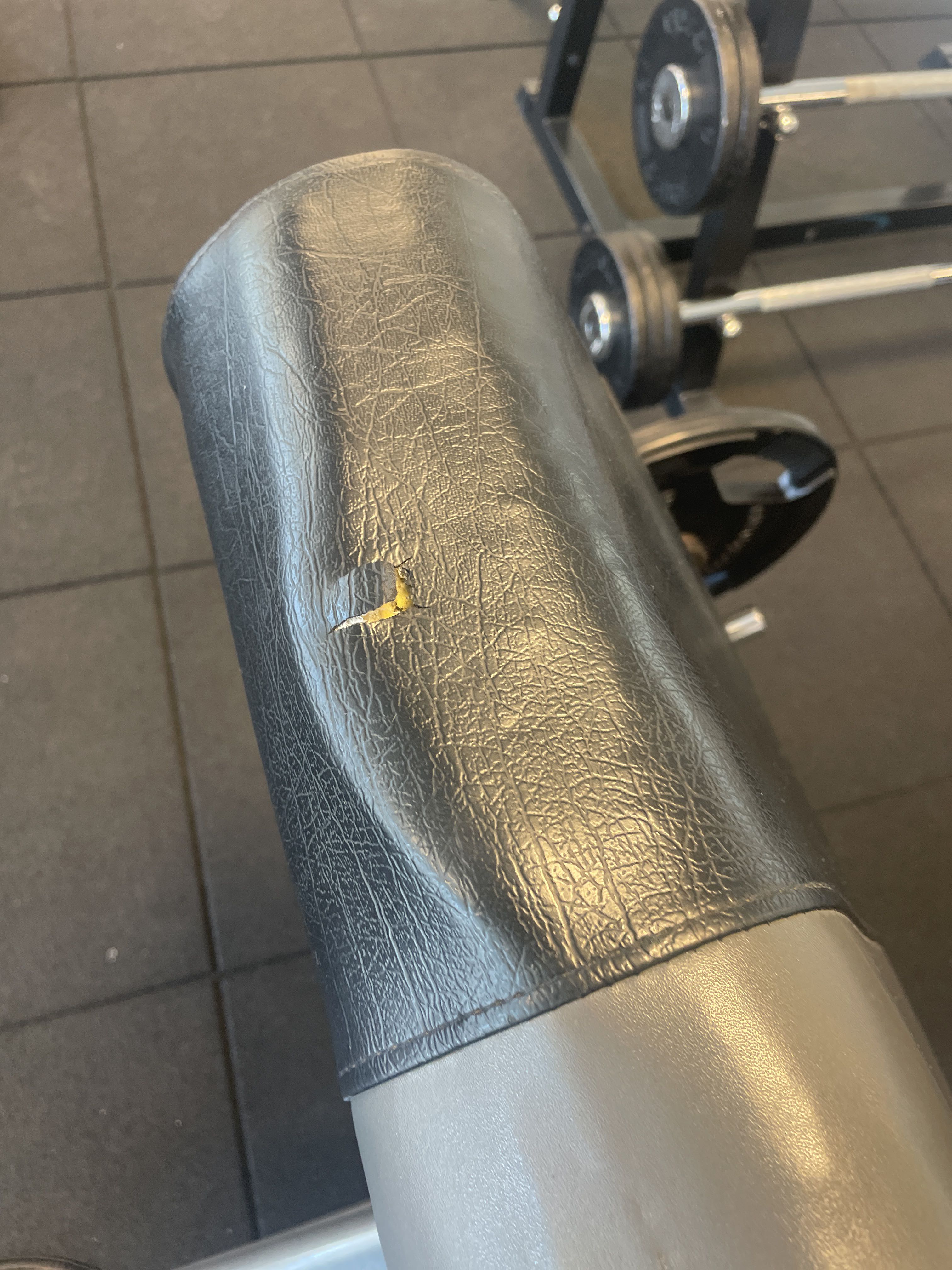 Bicepcurl samt skivstång - Auktioner online - Nätauktioner ...