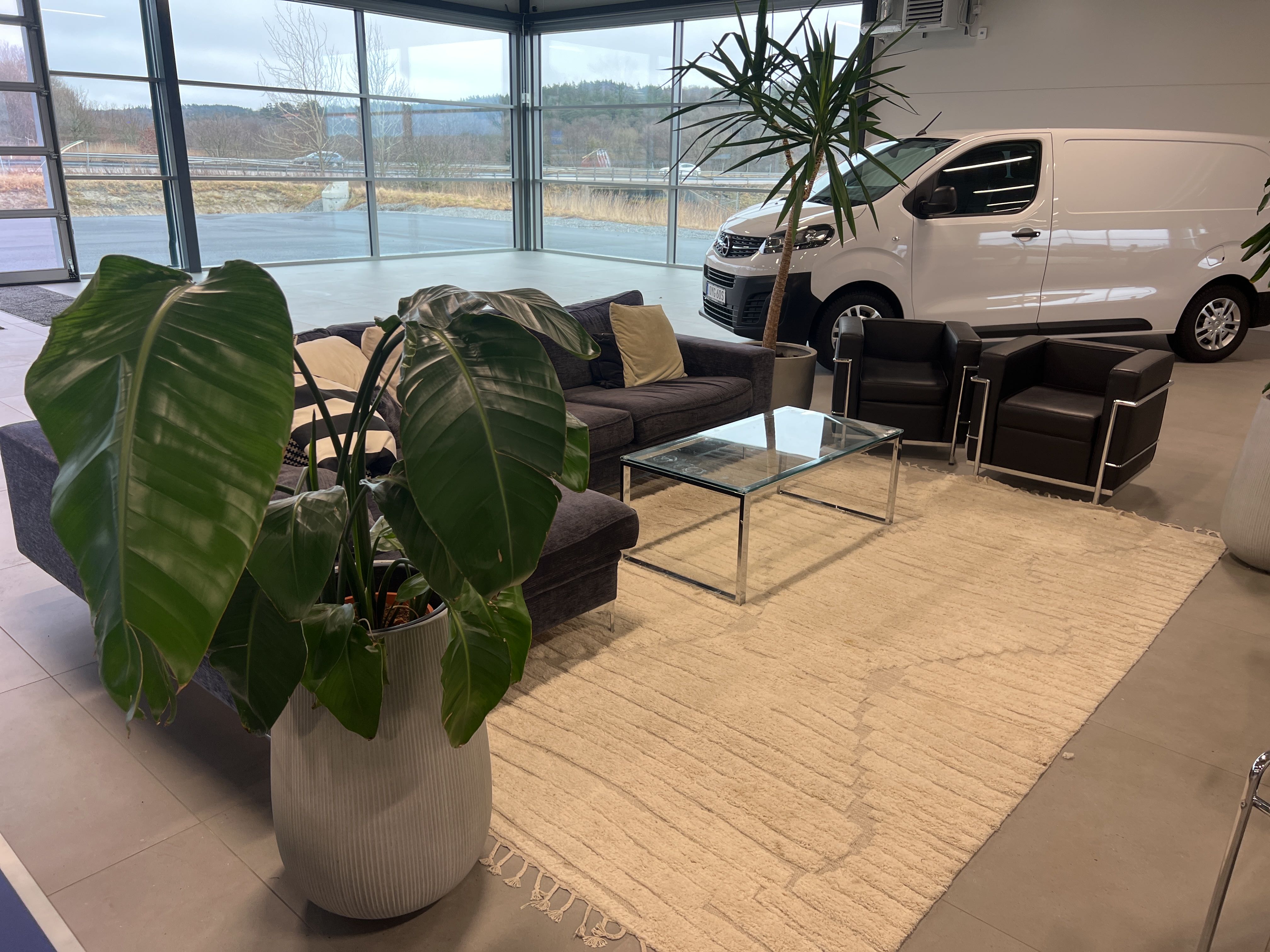 Plants, Sofa group, armchairs, carpet & table - PS Auction - We value ...