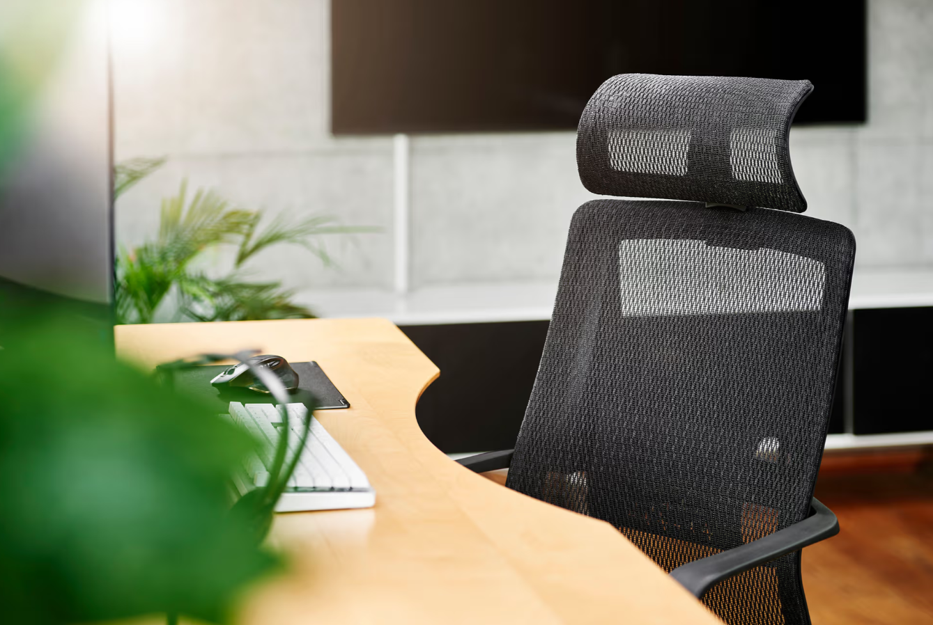 Office chair - Zen Office, ergonomic, adjustable lumbar support ...
