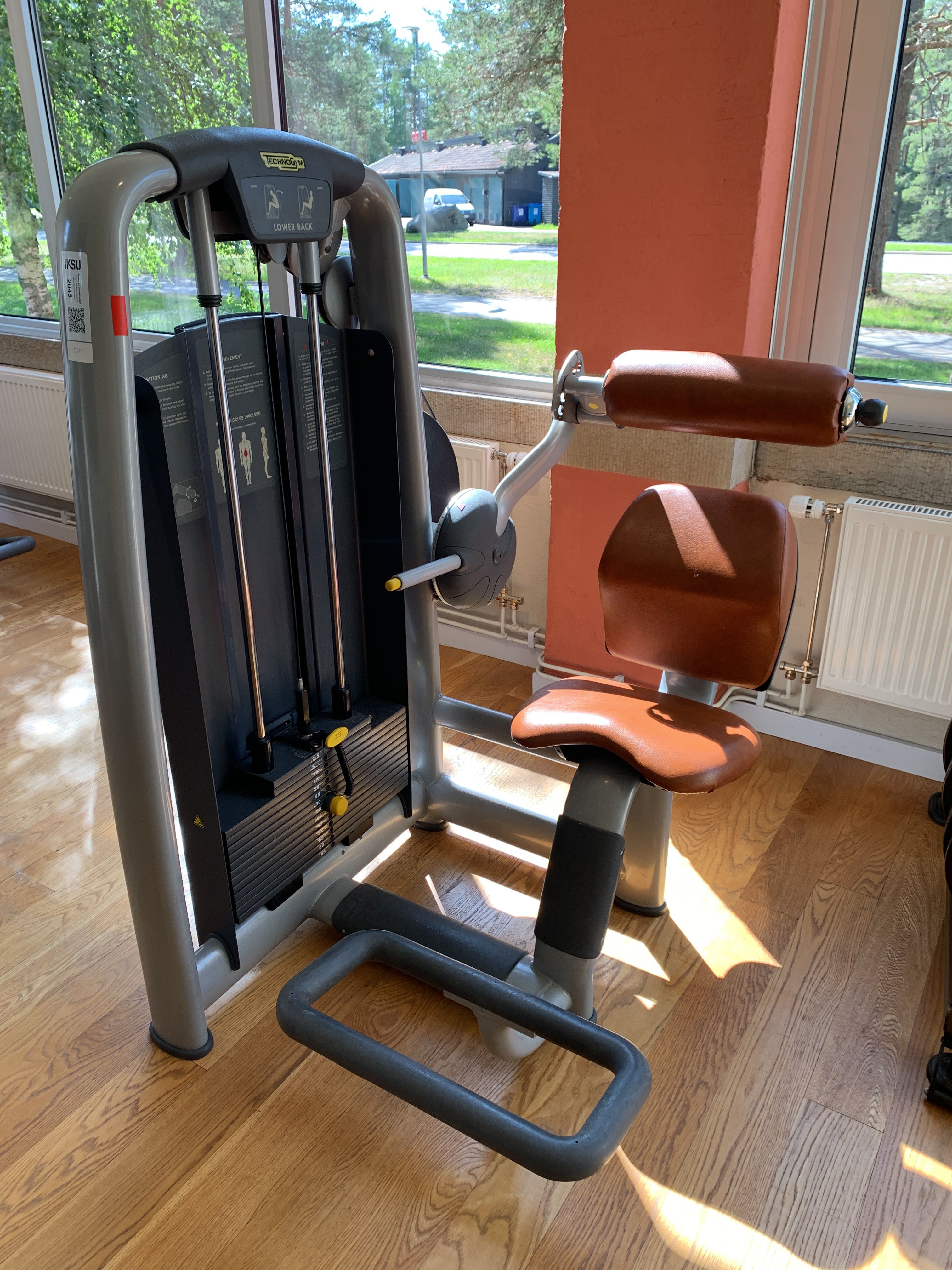 Gym machine TechnoGym Lower Back - PS Auction - We value the future ...