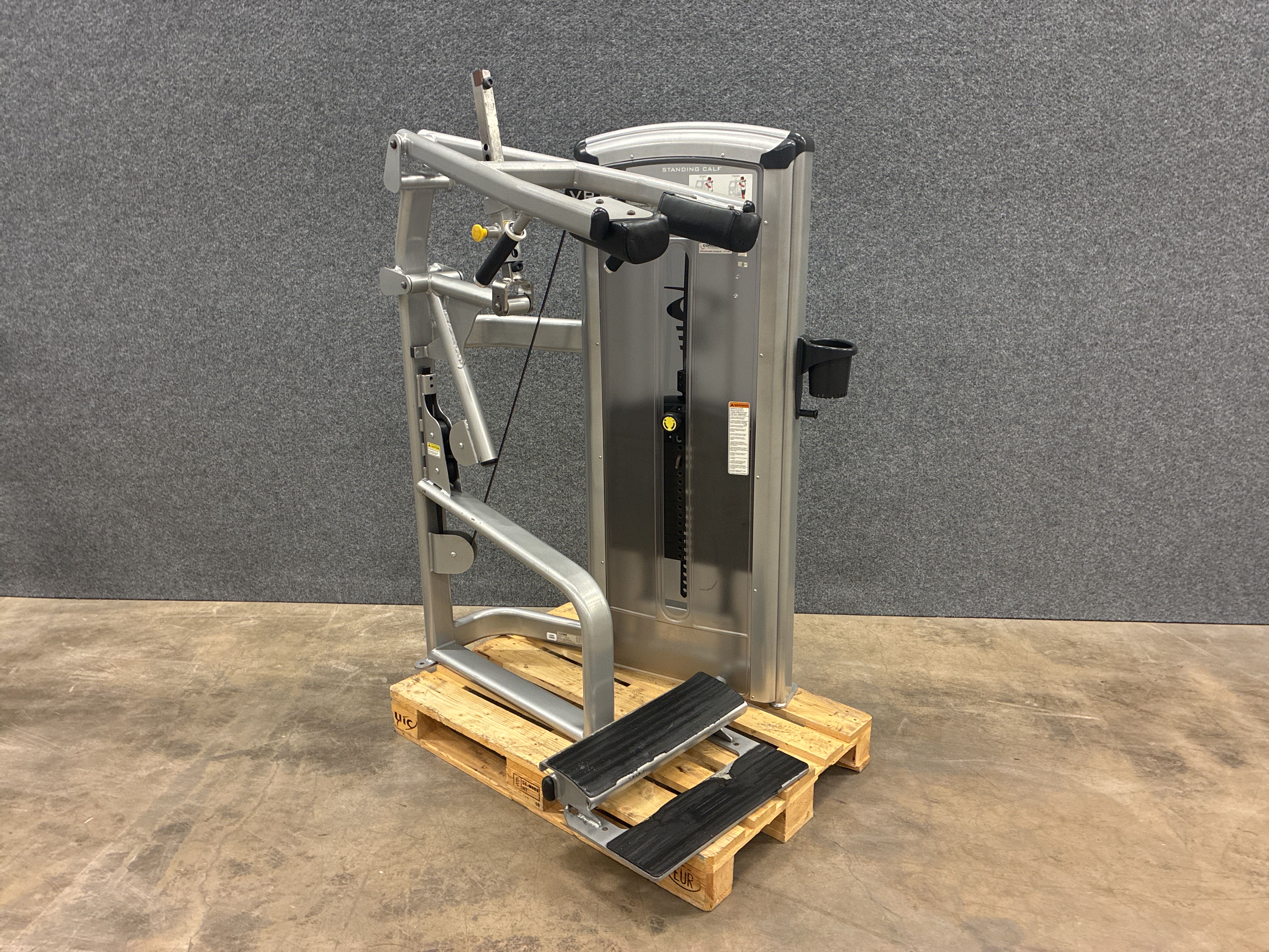 Standing calf press, Cybex VR3 - PS Auction - We value the future ...