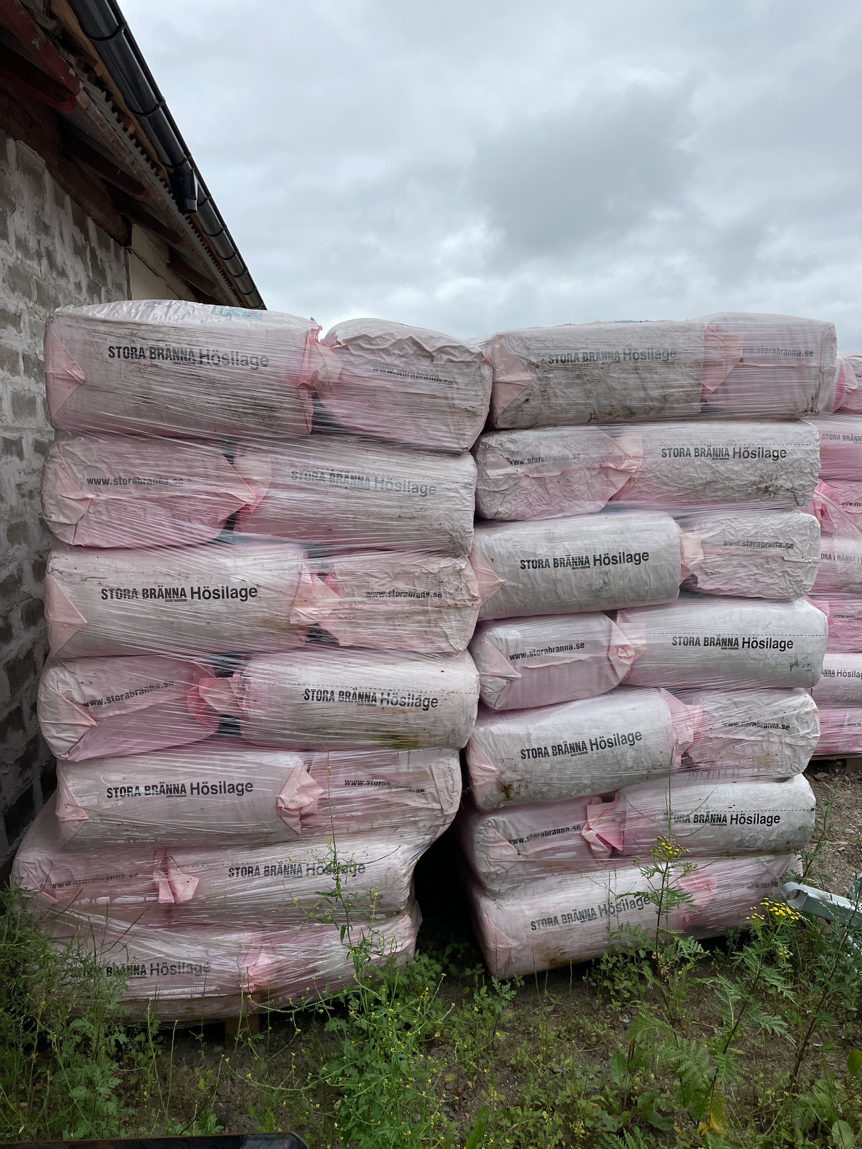 Special hay silage 140 plasticized 25kg bales - PS Auction - We value ...