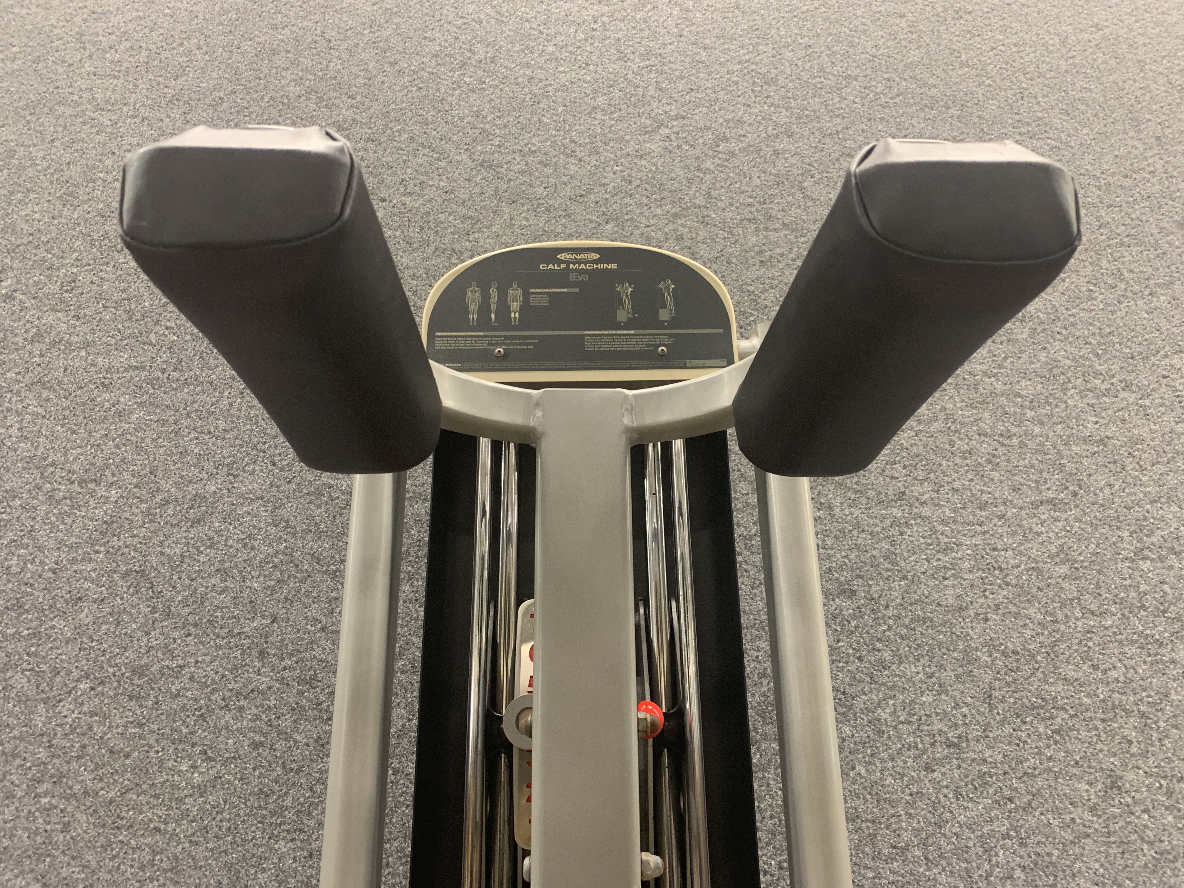 Calf press standing / Calf Machine EvoFit Panatta - PS Auction - We ...