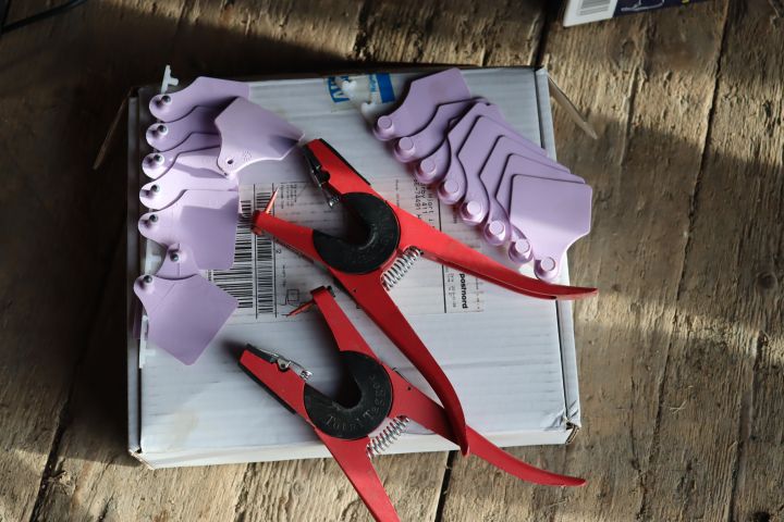 Marking pliers - PS Auction - We value the future - Largest in net auctions