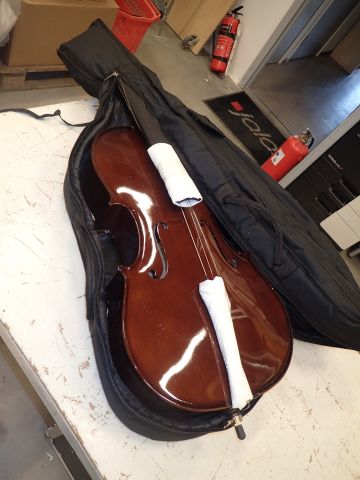 New cello in cardboard - PS Auction - We value the future - Largest in ...