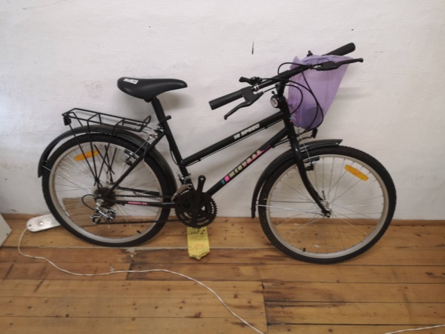 Mistral 18 Speed Black 22-24" - PS Auction - We value the future ...