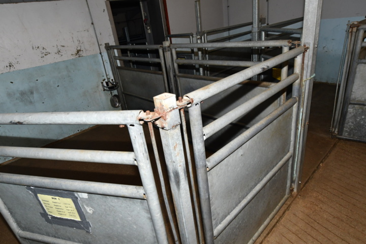 Approx: 18 pcs. cattle stall - PS Auction - We value the future ...