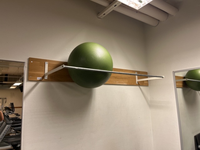 Medicine ball including stand - PS Auction - We value the future ...