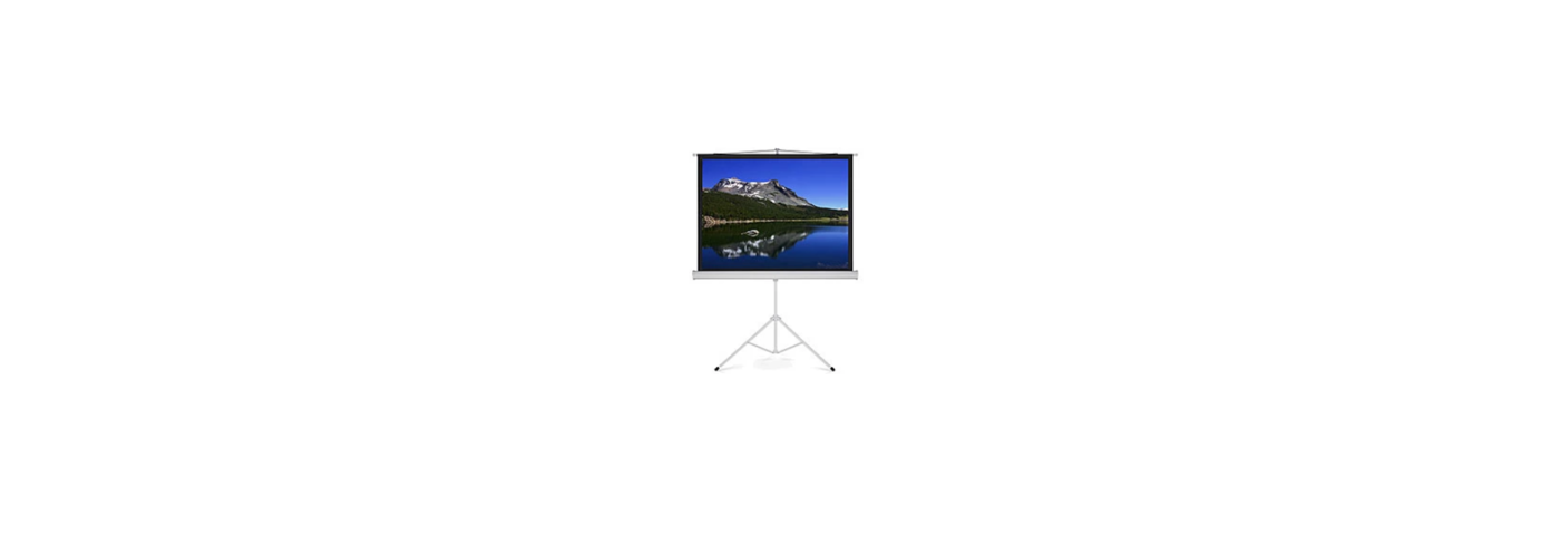 96-inch projector screen Andersson PRS 1.2 - 96" - PS Auction - We ...
