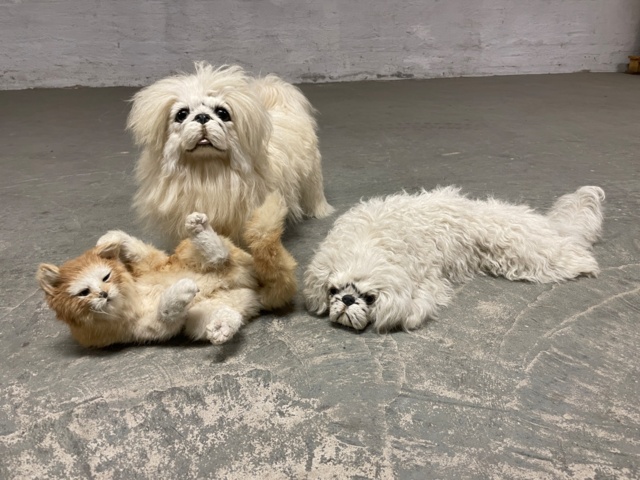 2 hundar & 1 katt - Auktioner online - Nätauktioner & Konkursauktioner ...