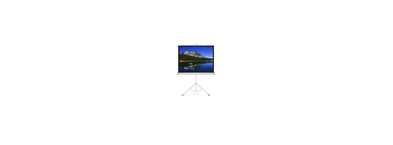 Portable 96-inch projector screen Andersson PRS 1.2 - 96 - PS Auction ...