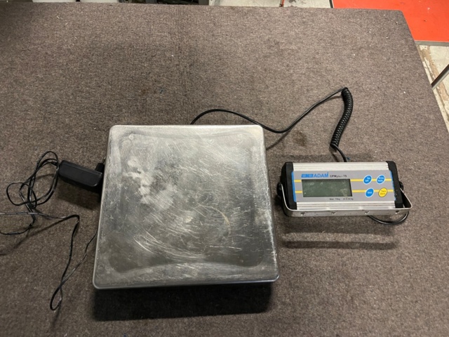 Scale, 75 kg weight capacity, with RS calibration - PS Auction - We ...