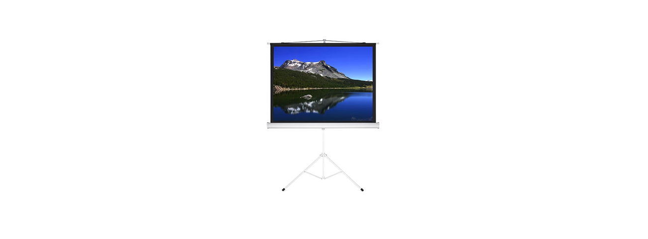 Portable 96-inch projector screen Andersson PRS 1.2 - 96" - PS Auction ...
