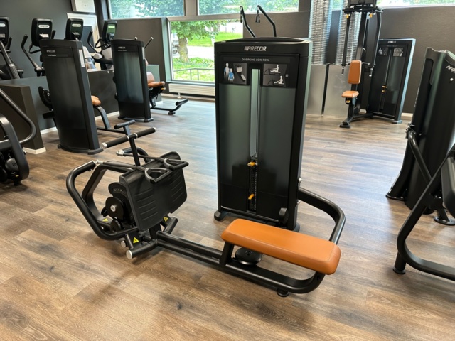 Diverging low row Precor, RSL 0324, 1st - Auktioner online ...
