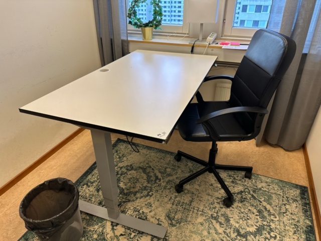 Ikea electric height-adjustable desk, Ikea desk chair and carpet - PS ...
