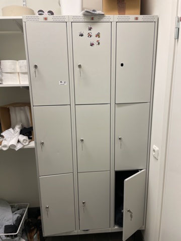 Staff locker with 9 lockers - PS Auction - We value the future ...