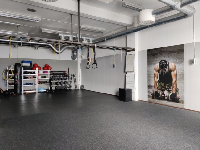 Gym interior - Floor approximately 80m2, Roof ladder and more - PS ...