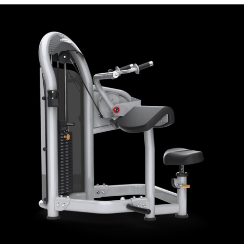 Matrix Triceps Extension S45 (NEW) - PS Auction - We value the future ...