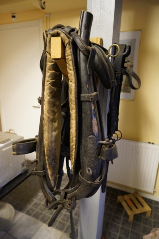 Harness for Northern Sweden - PS Auction - We value the future ...