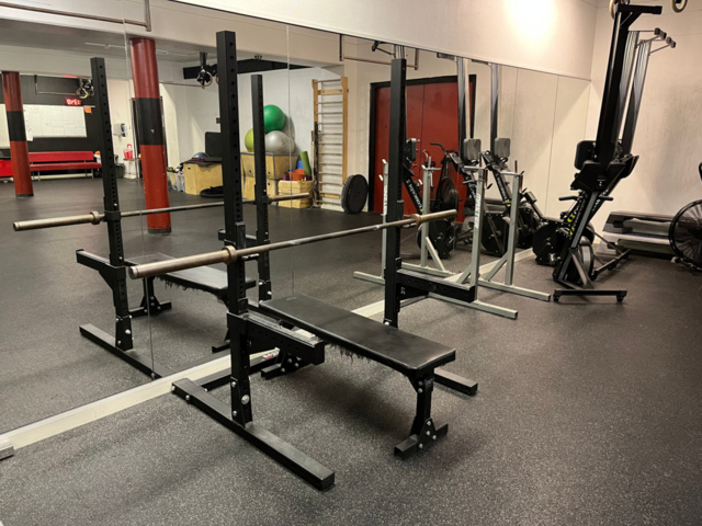 Bench Press Rogue SPX System - PS Auction - We value the future ...