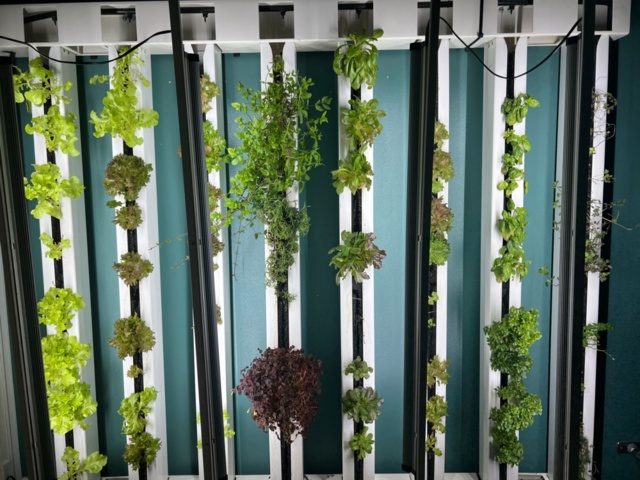Plant wall with LED lighting - ZipGrow 8-Tower Farm Wall - PS Auction ...