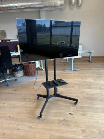 Samsung 55 inch TV on rollable stand - PS Auction - We value the future ...