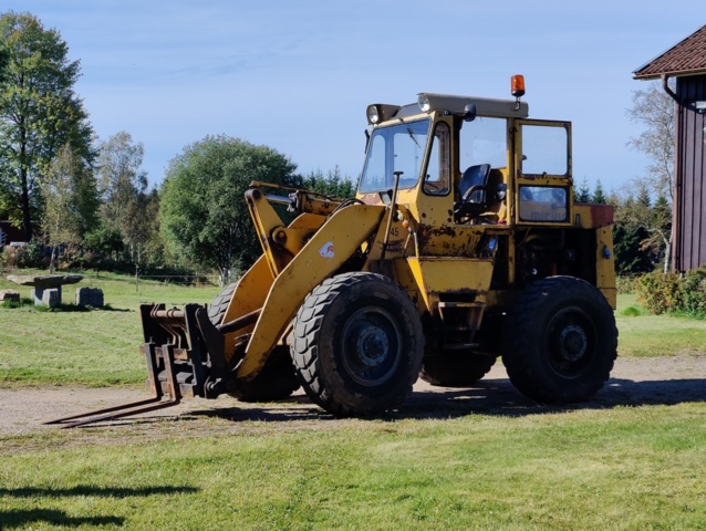 Wheel Loader Michigan 45 AWS - PS Auction - We value the future ...